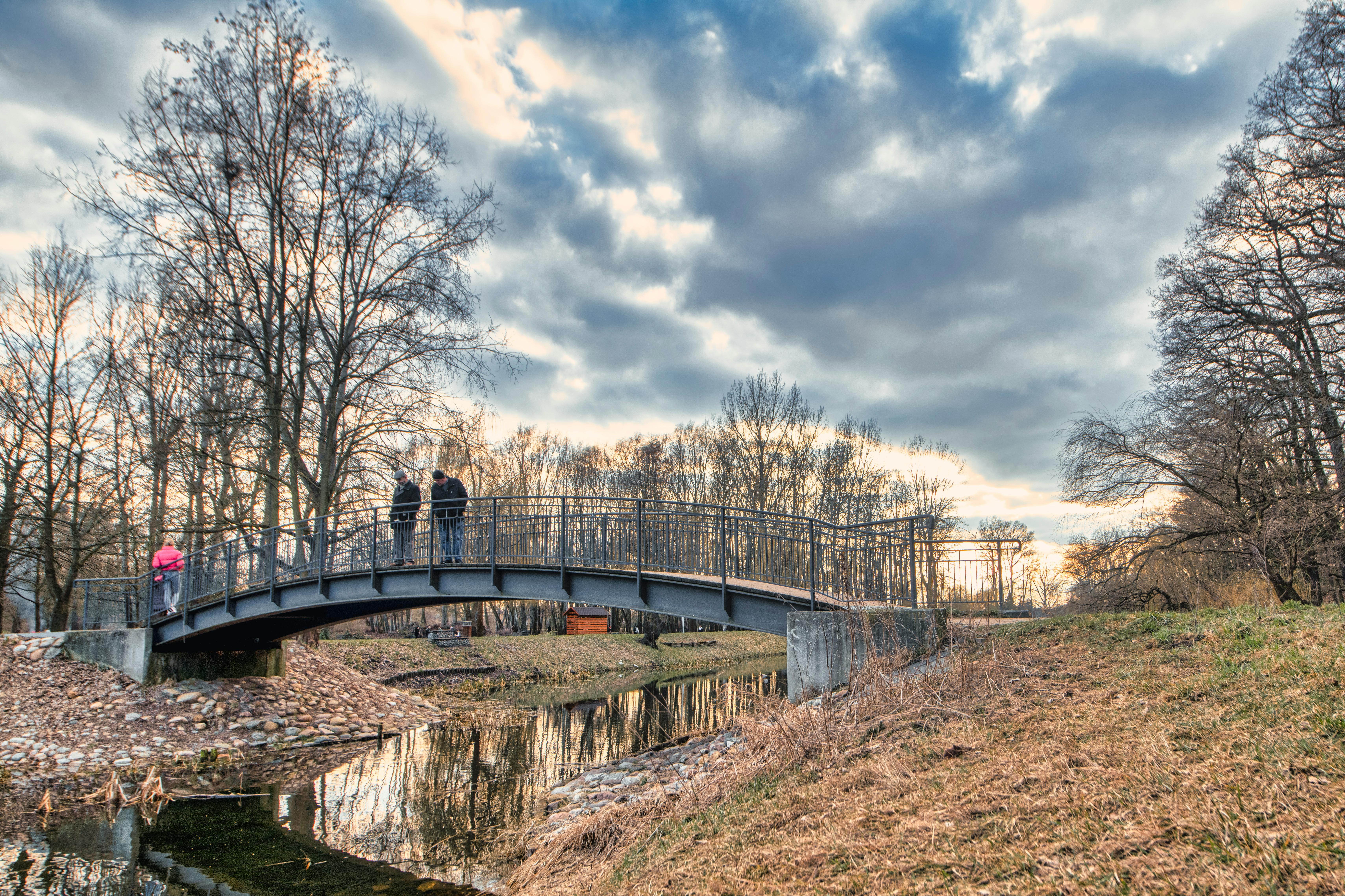 People Walking on Bridge in Park Landscape · Free Stock Photo