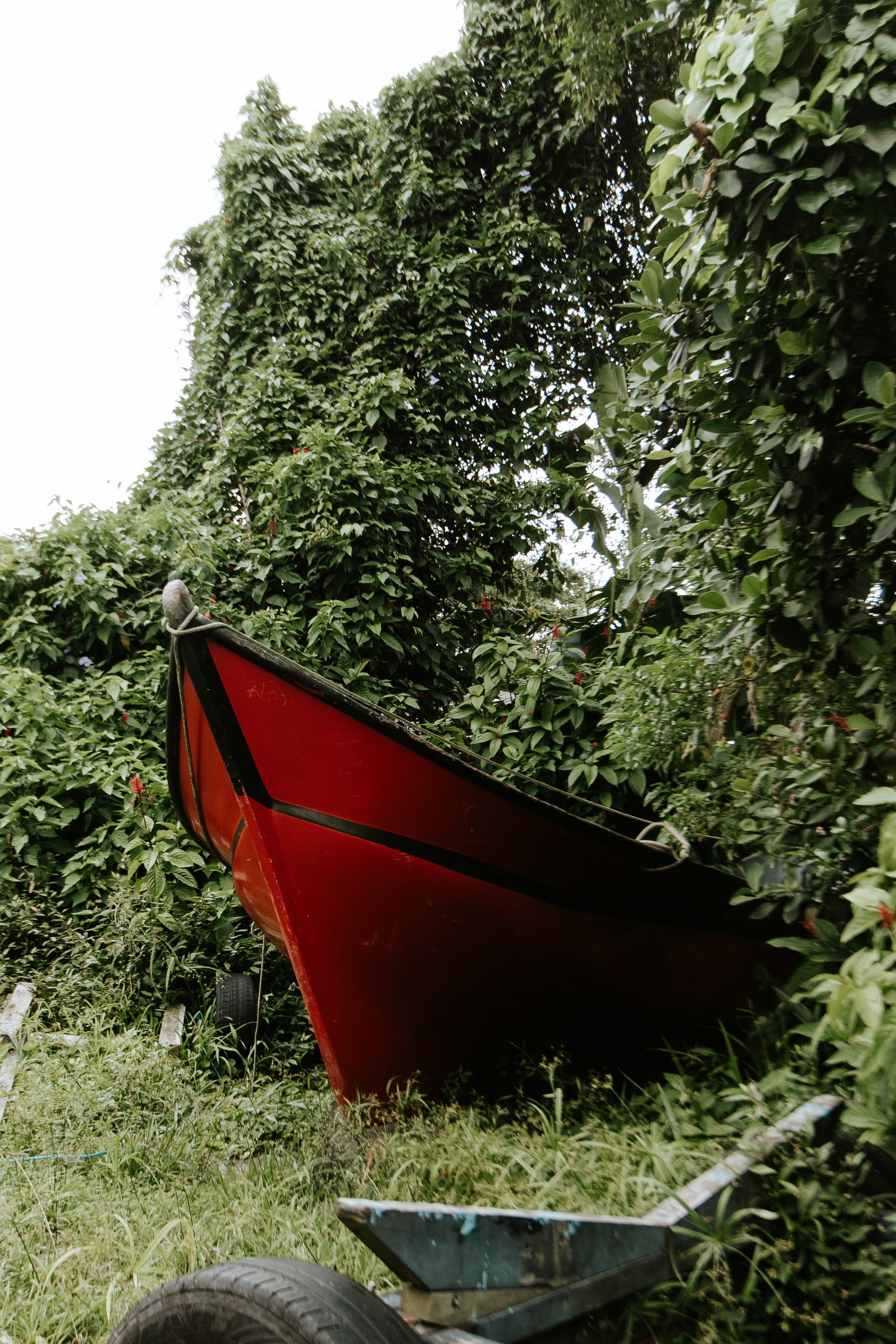 Abandoned Red Canoe Amidst Dense Greenery · Free Stock Photo