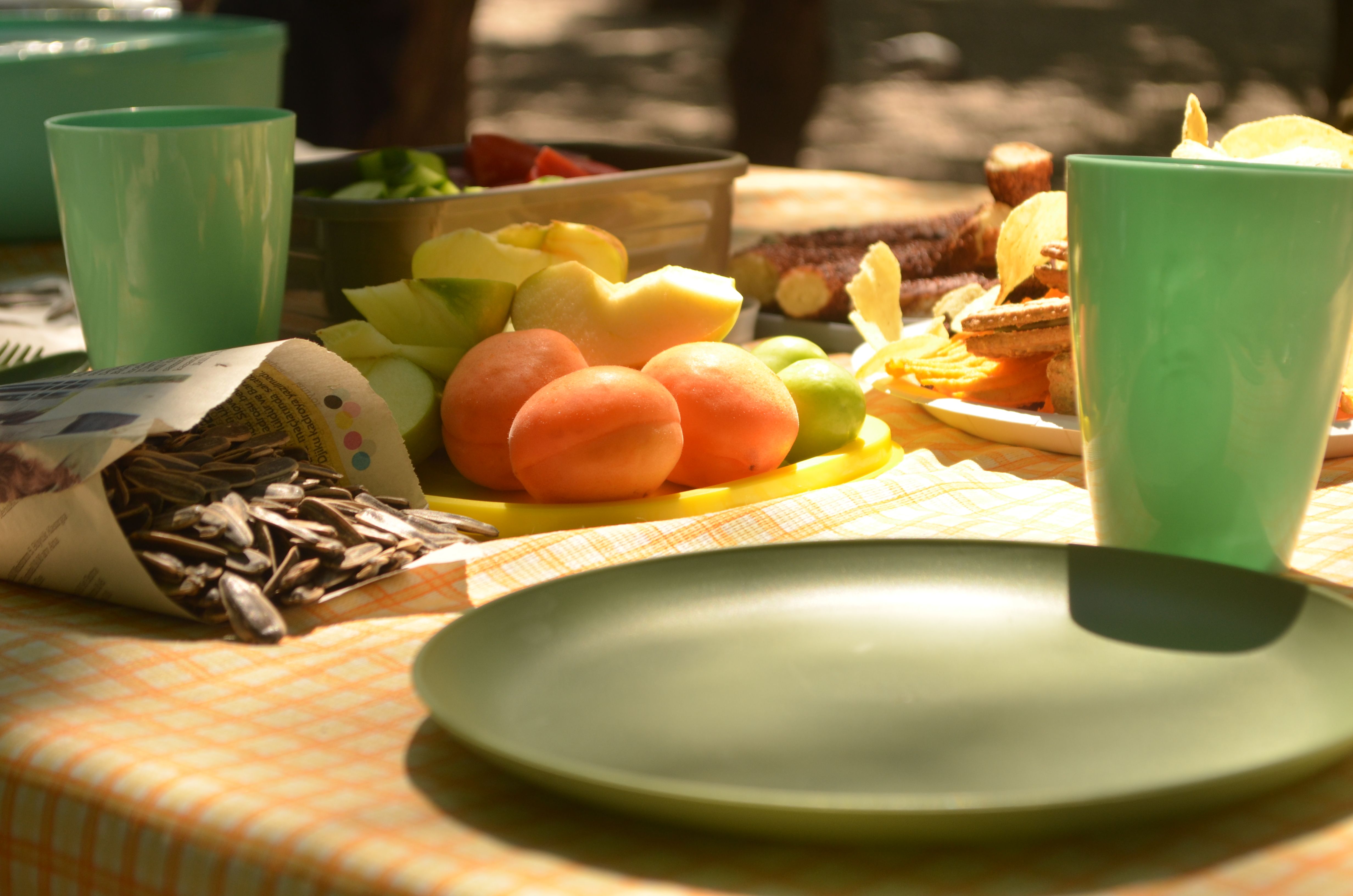 Colorful Picnic Table with Fresh Fruits and Snacks · Free Stock Photo