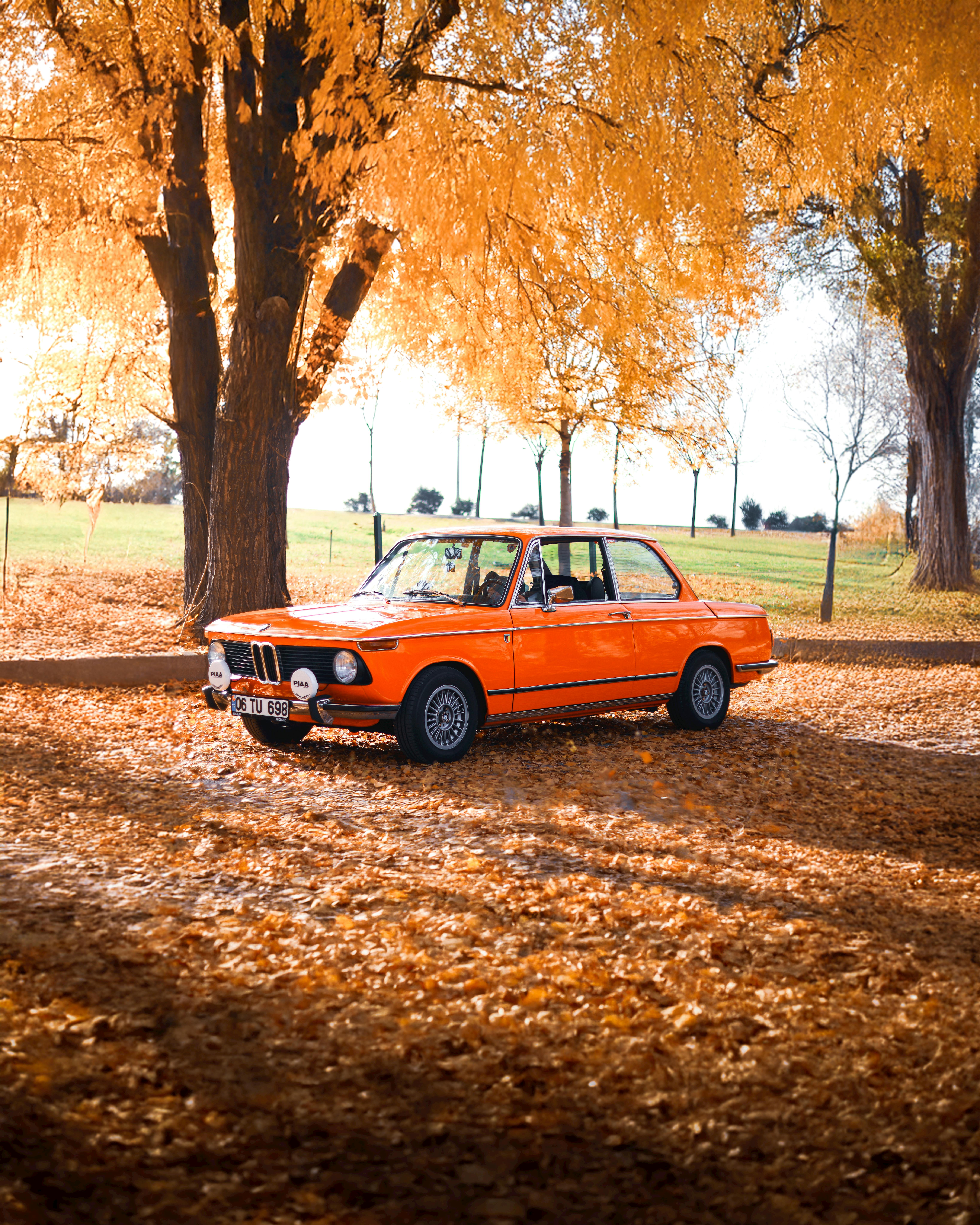 Classic Orange BMW in Vibrant Autumn Scenery · Free Stock Photo