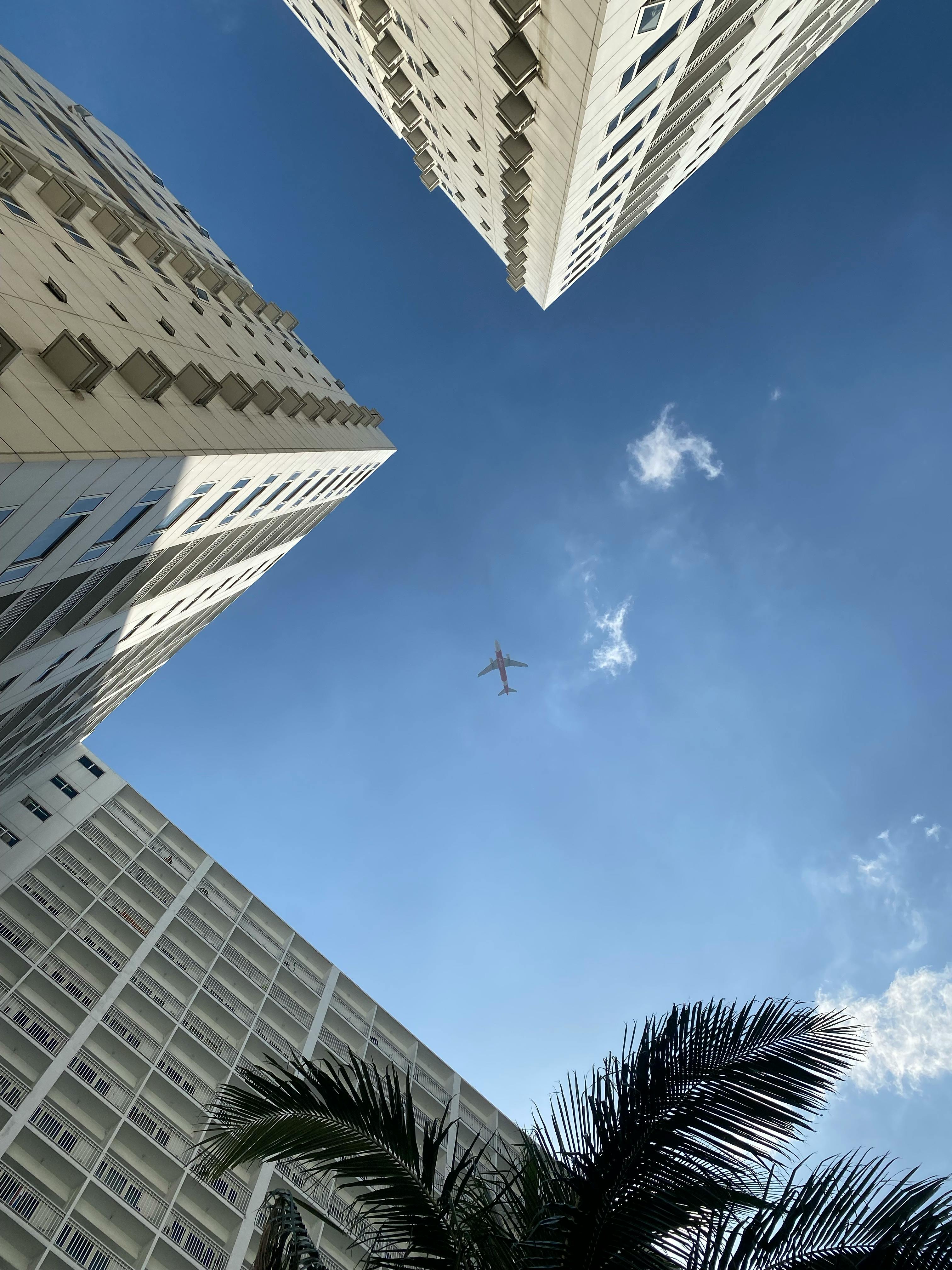Airplane Flying Over Tall Buildings and Palm Tree · Free Stock Photo