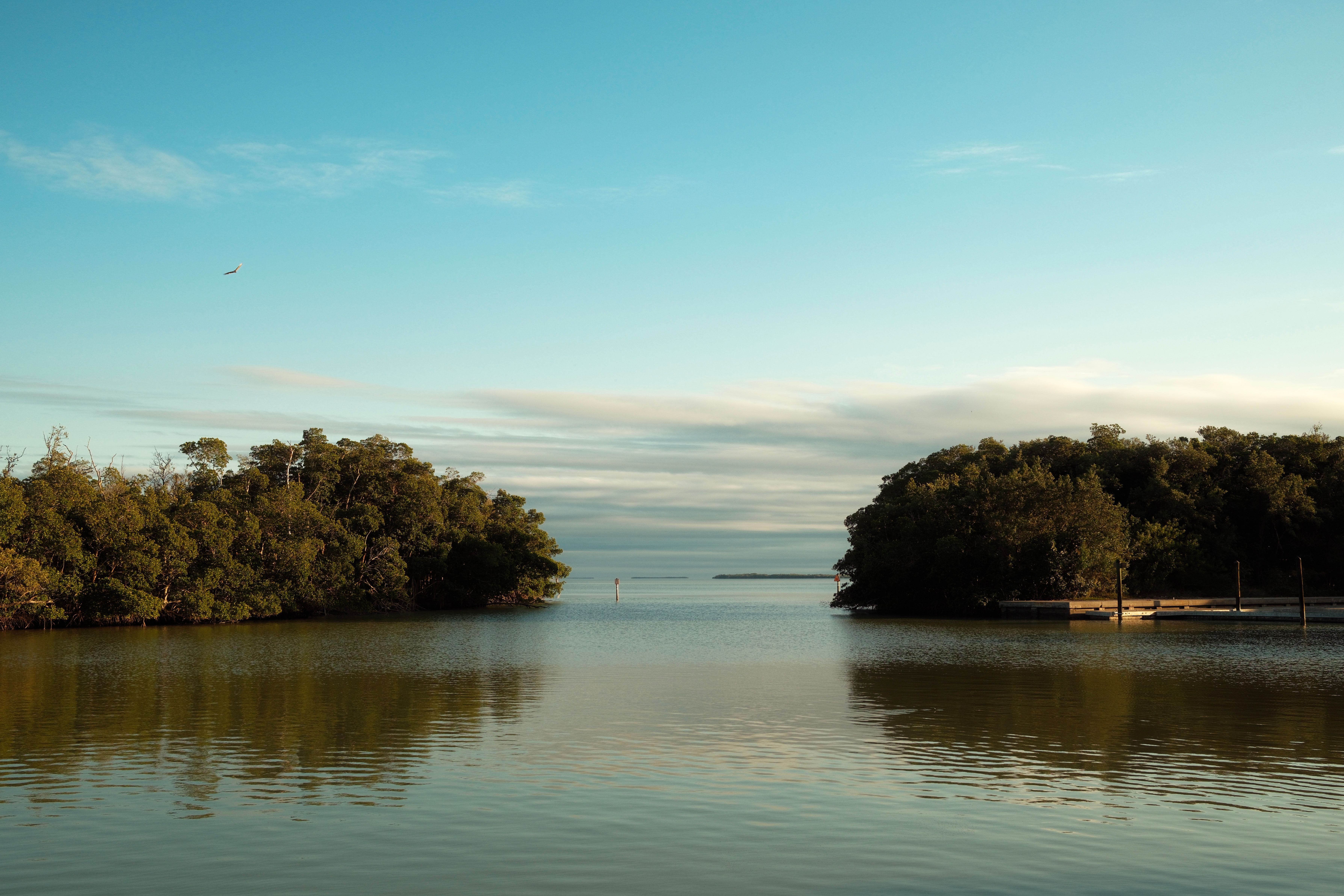 Tranquil Florida Landscape with Scenic Water View · Free Stock Photo