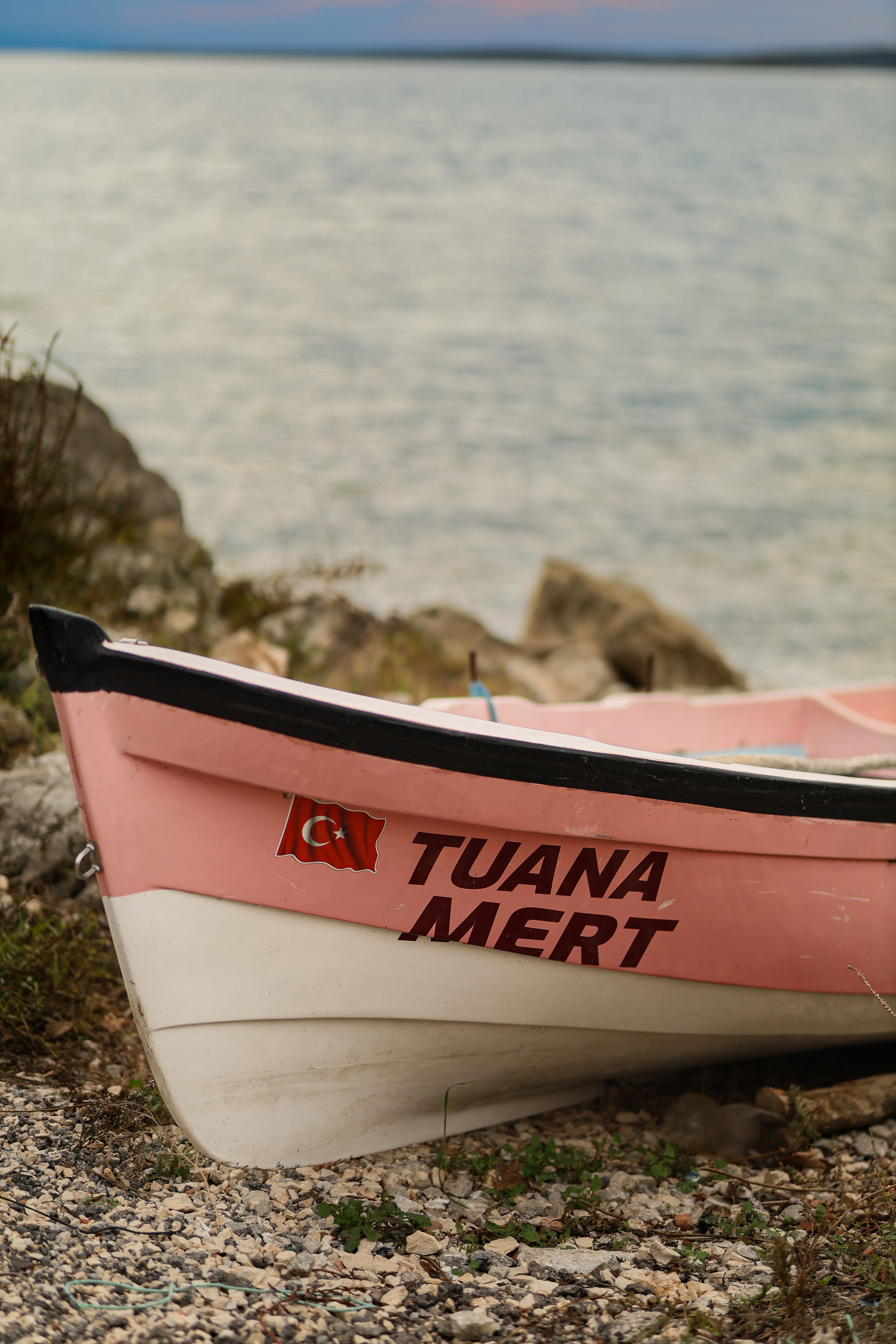 Serene Pink Boat on Pebble Beach Shoreline · Free Stock Photo