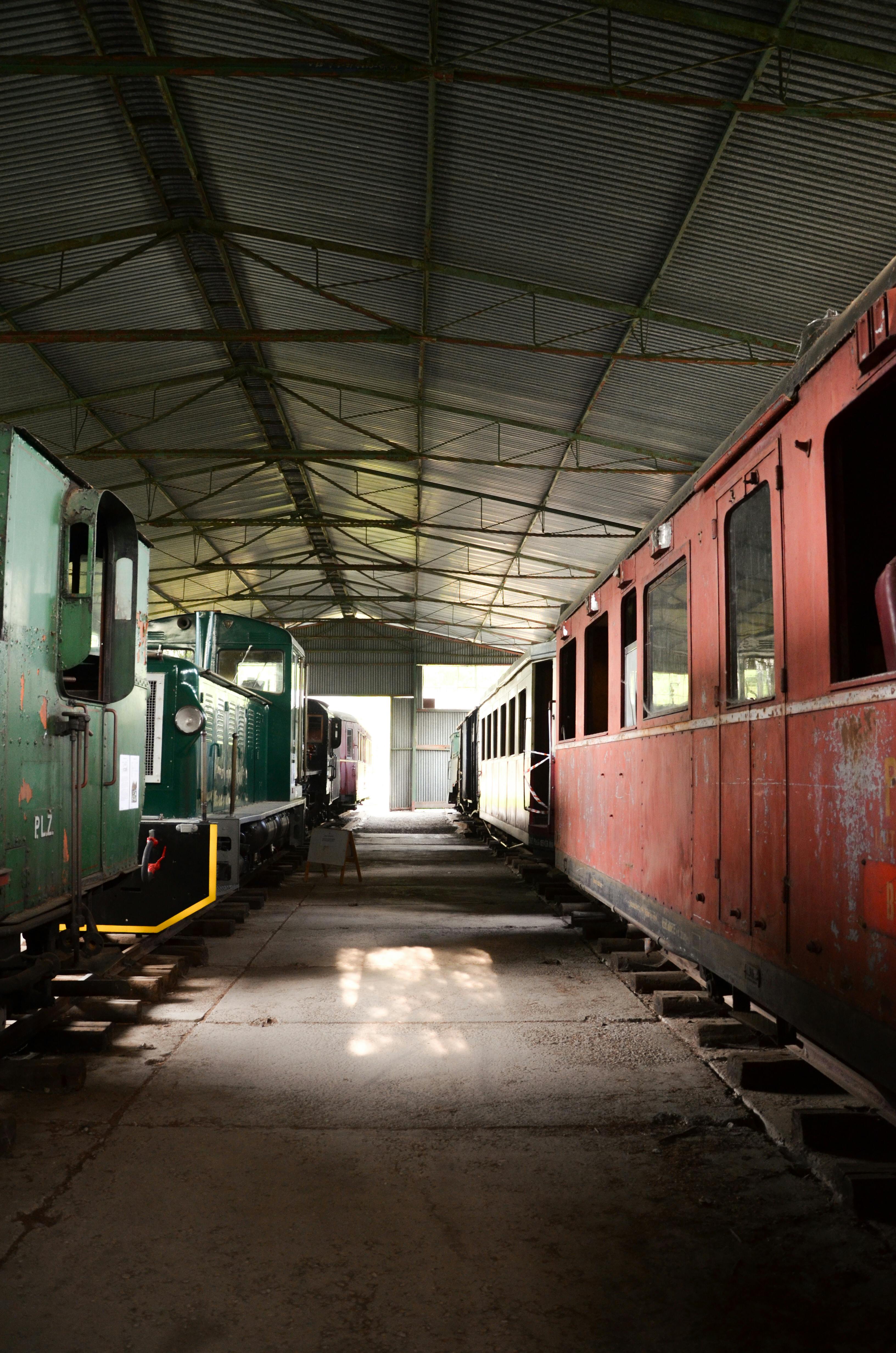 Historic Trains in Indoor Railway Garage · Free Stock Photo