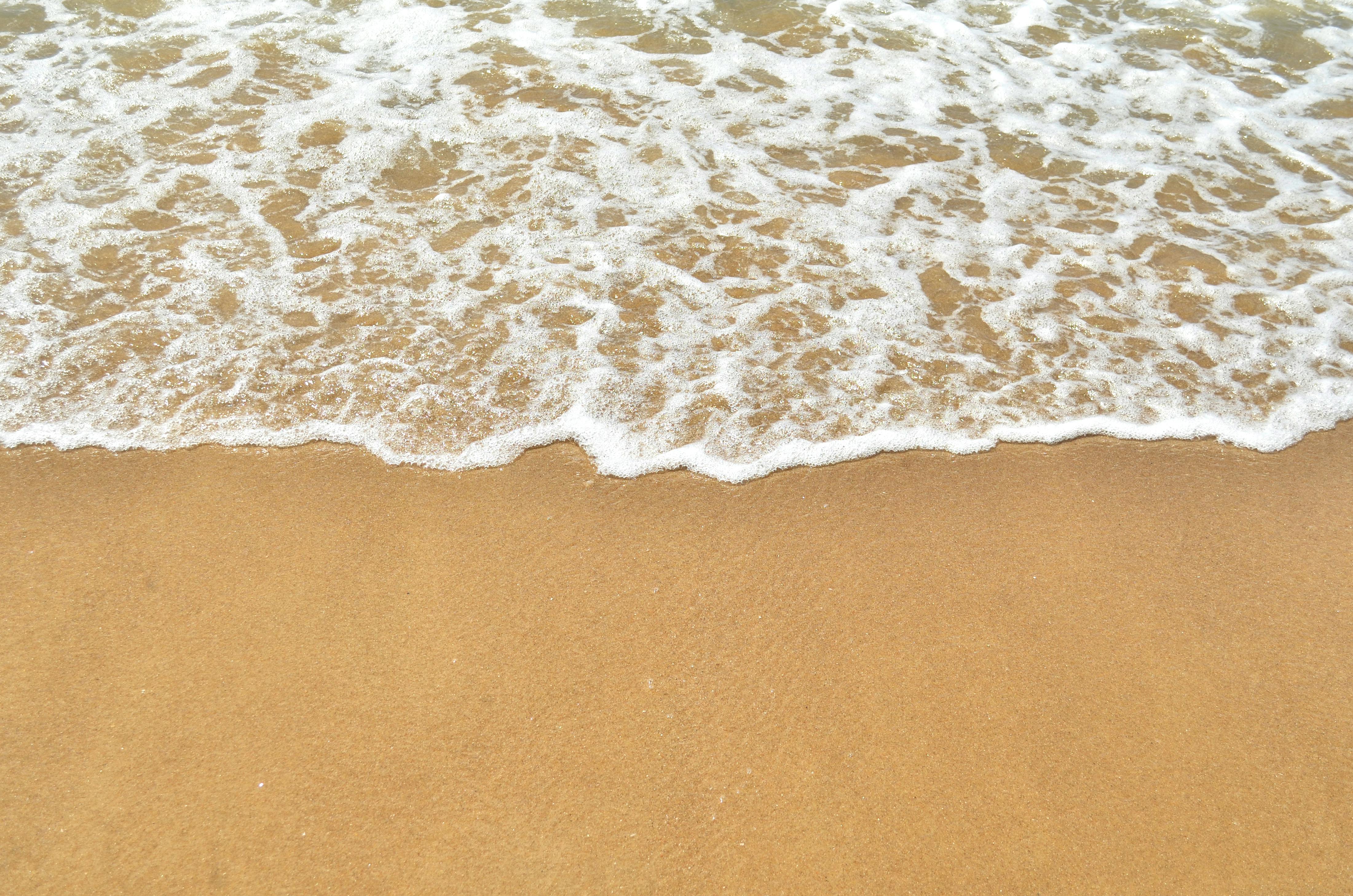 Serene Sandy Beach by Ocean Waves - Rocha, Uruguay · Free Stock Photo
