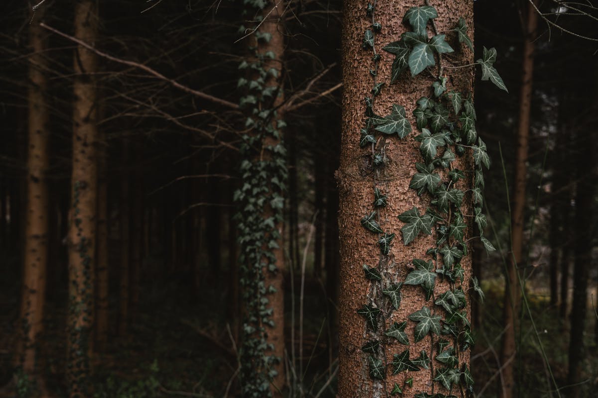 4k Wallpaper Dark For Pc Lock Screen Photos, Download The BEST Free 4k ...