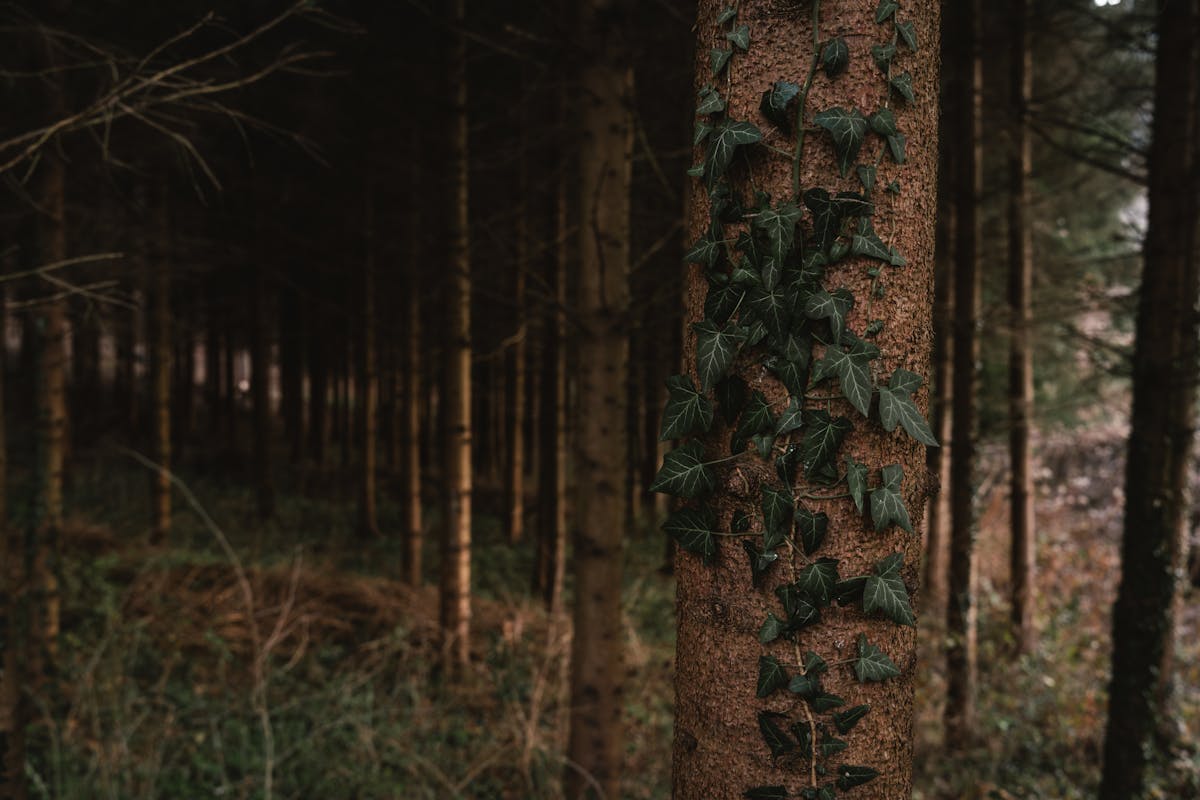 4k Wallpaper Dark For Pc Lock Screen Photos, Download The BEST Free 4k ...