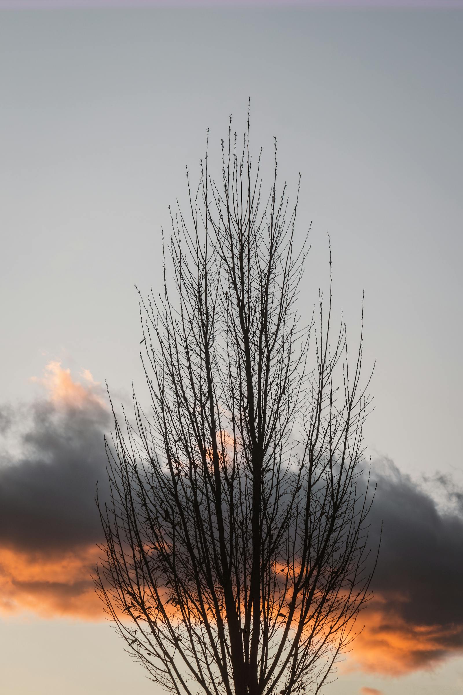 Pixel Sunset Photos, Download The BEST Free Pixel Sunset Stock Photos ...