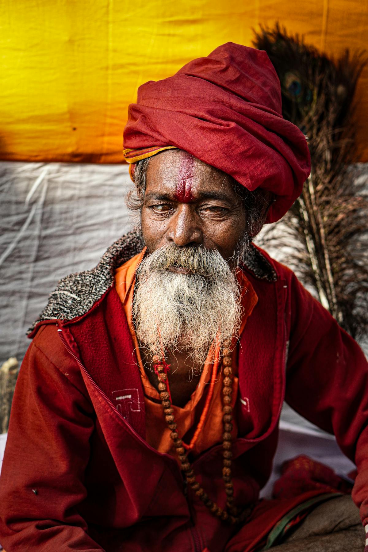 Tsunami Portrait Photos, Download The BEST Free Tsunami Portrait Stock ...