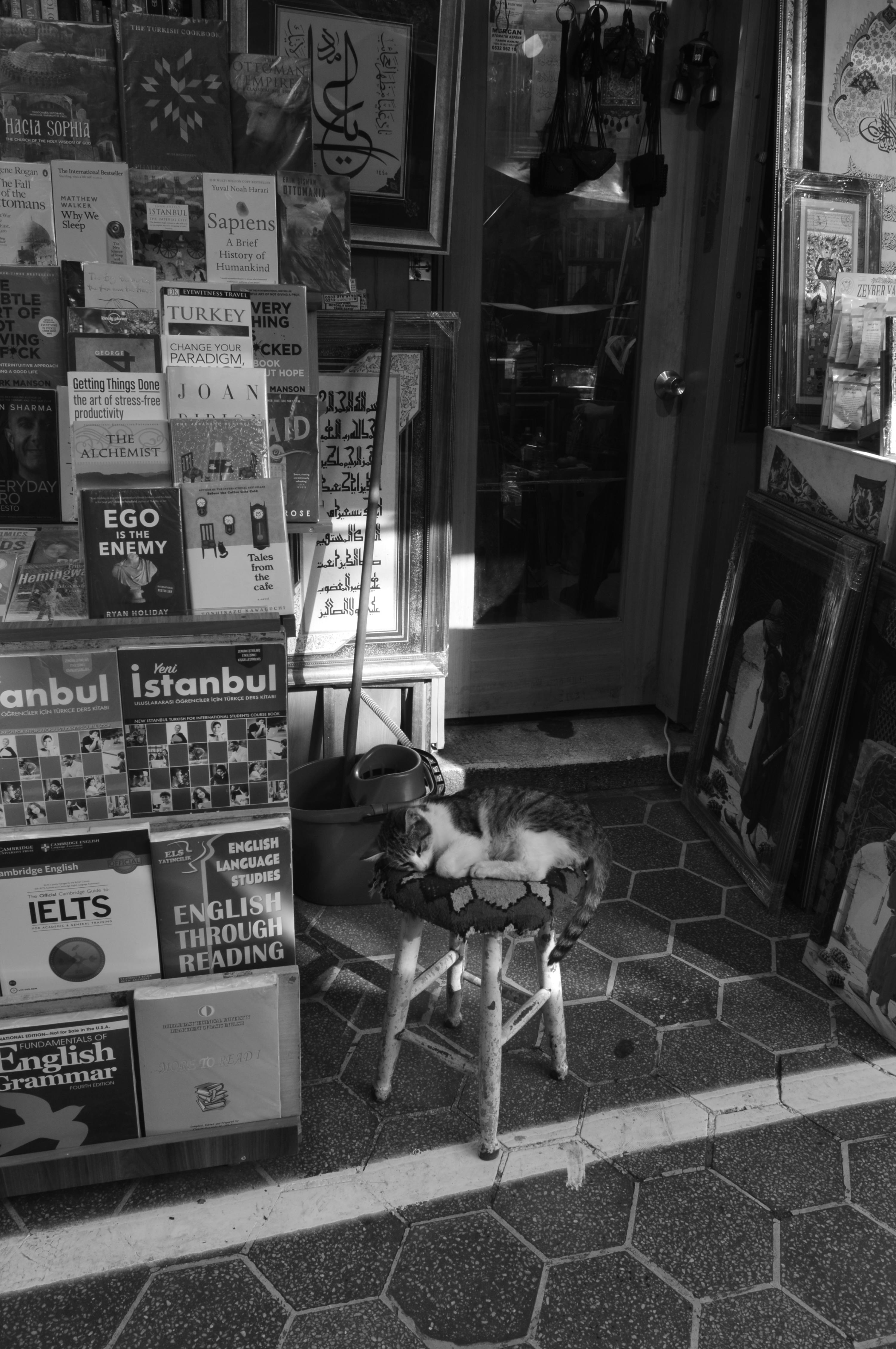 Beyond Comfort: A Complete Mattress Buying Guide For All - Mattress Mastery