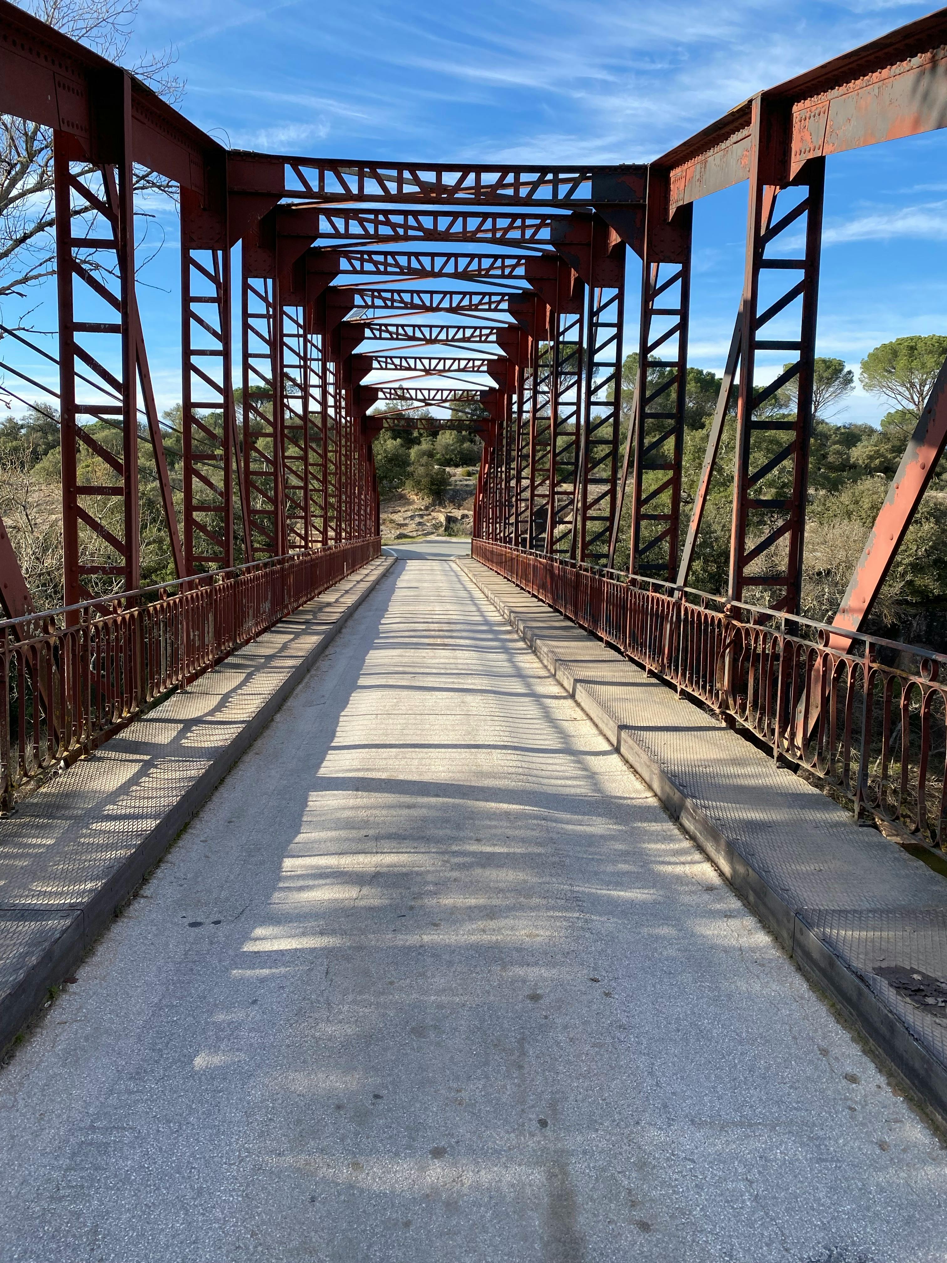 Historic Iron Bridge in Serene Woodland Setting · Free Stock Photo