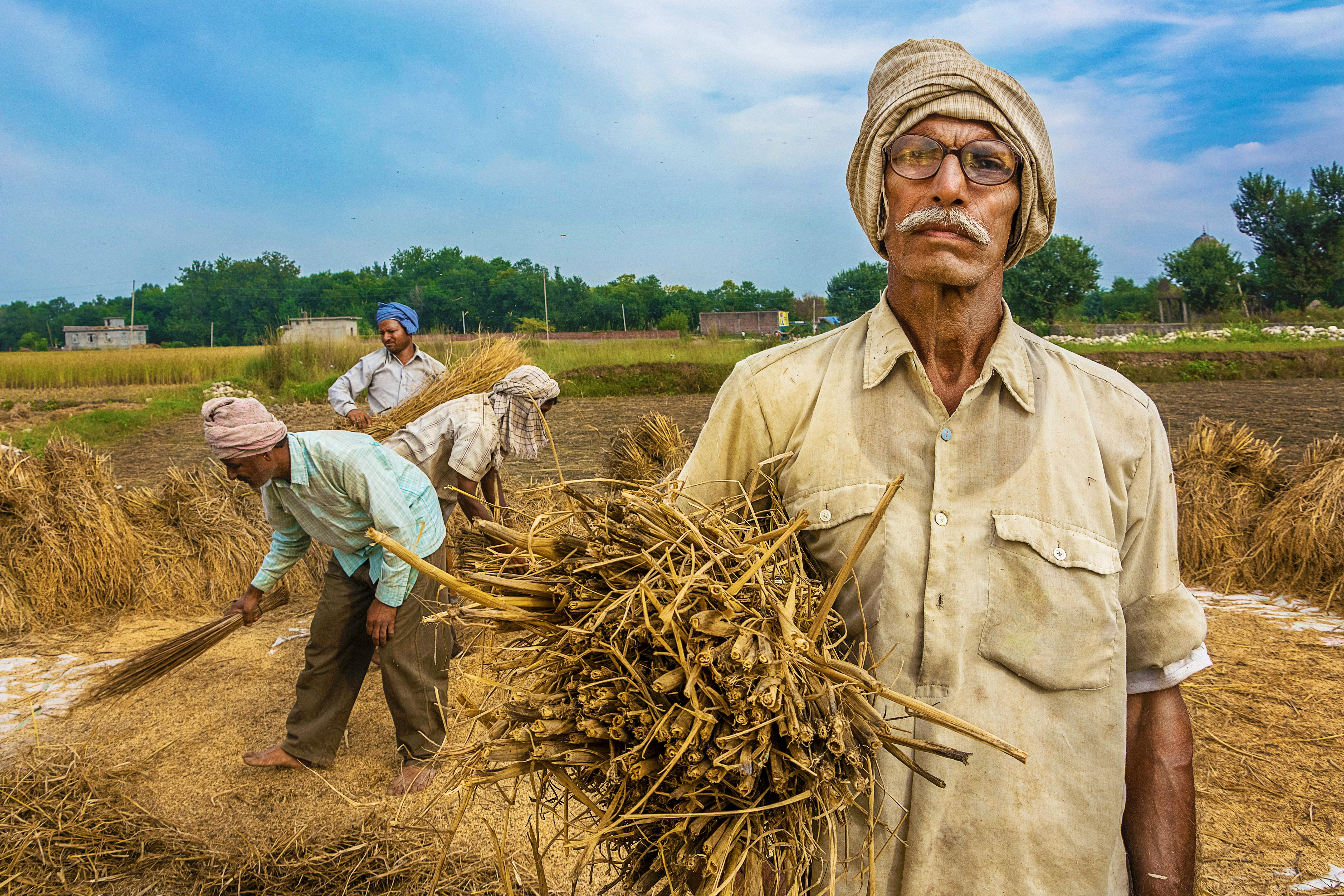 Profession Man Photos, Download The BEST Free Profession Man Stock ...