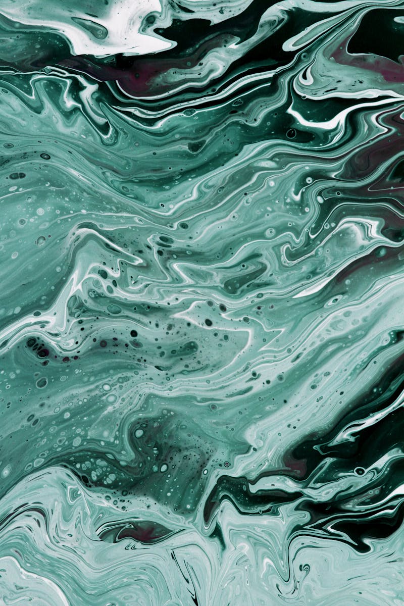 Background White Photos, Download The BEST Free Background White Stock ...