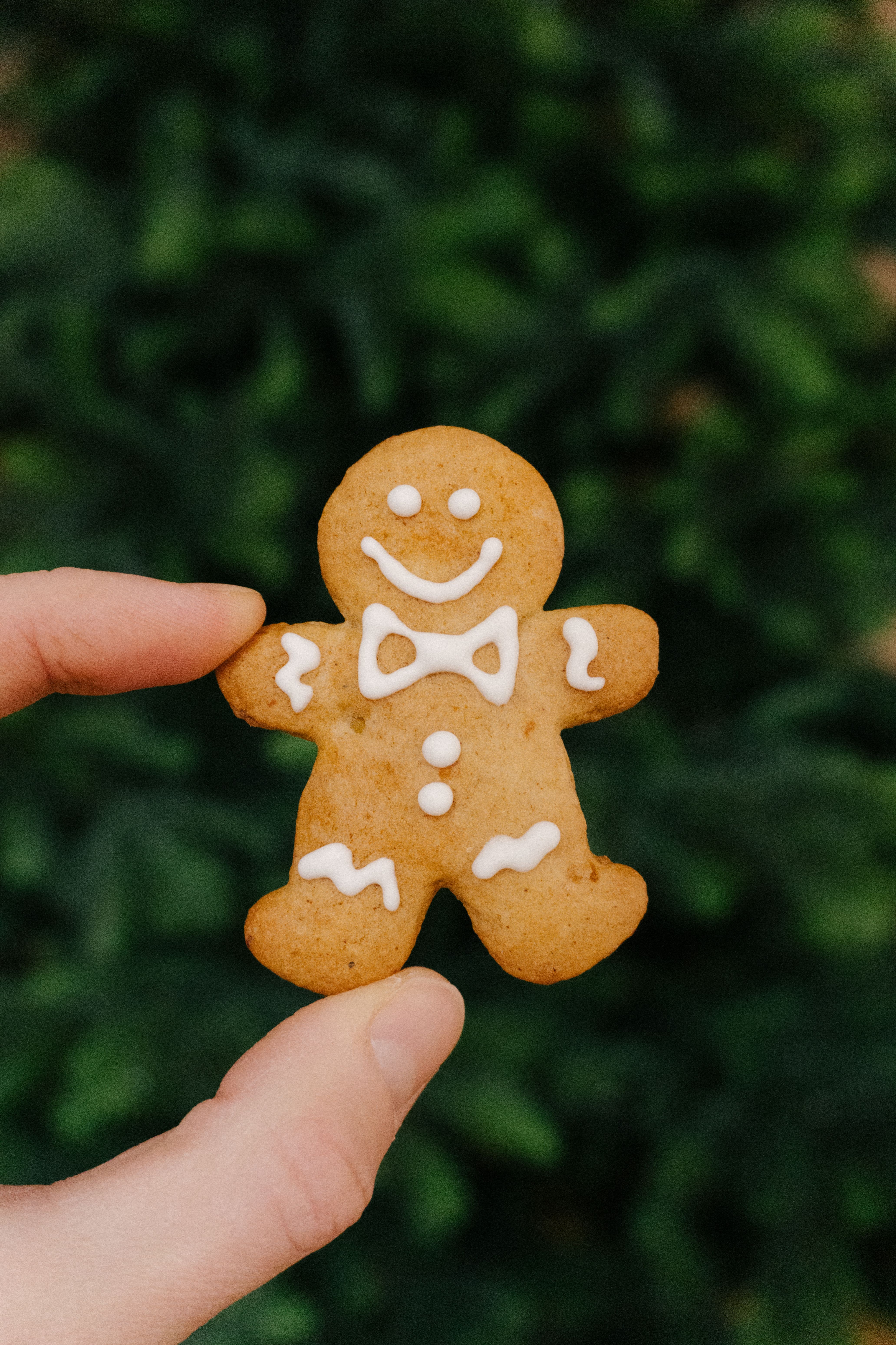 Bakery Cookie Photos, Download The BEST Free Bakery Cookie Stock Photos ...