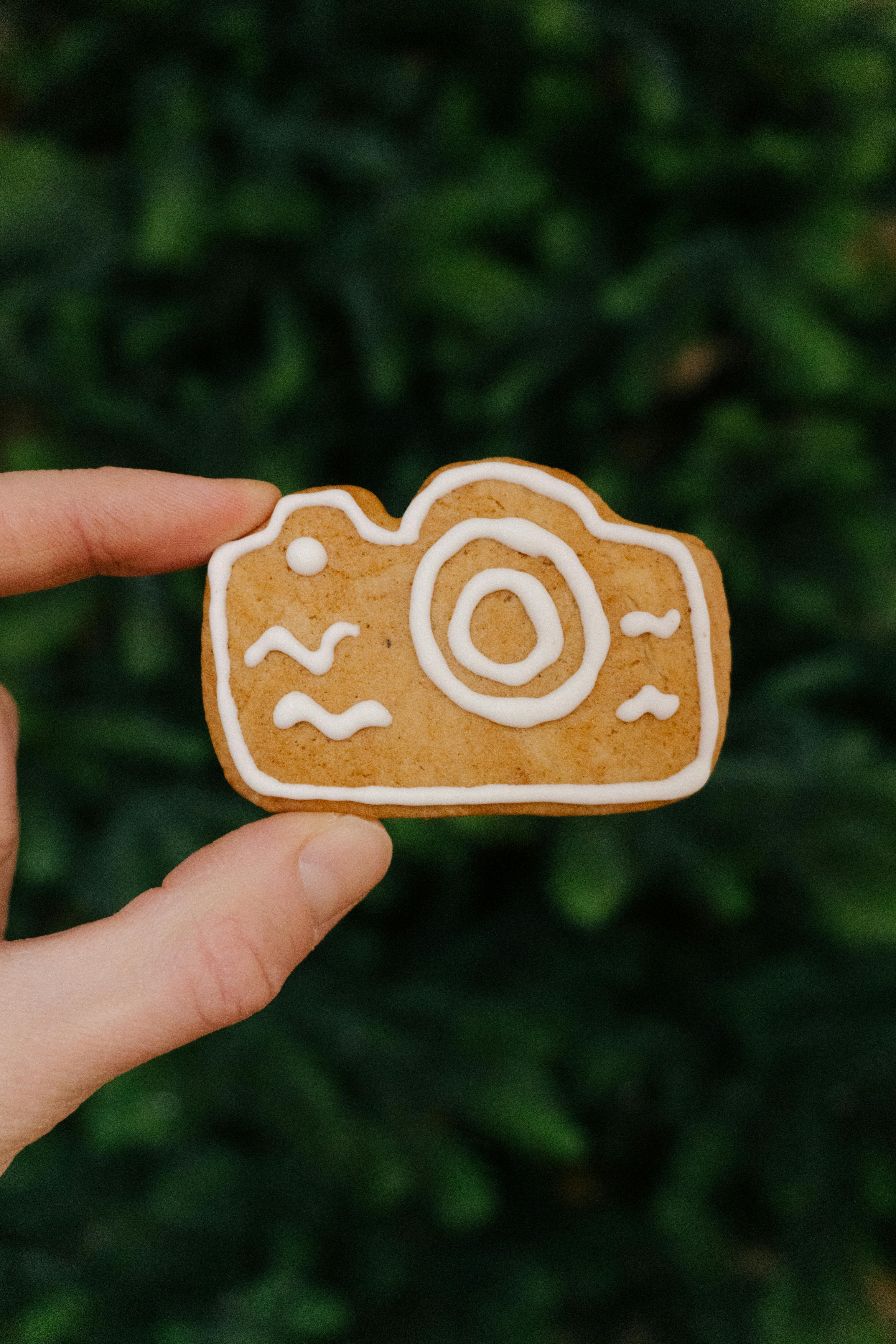 Hand Holding Gingerbread Camera Cookie Outdoors · Free Stock Photo