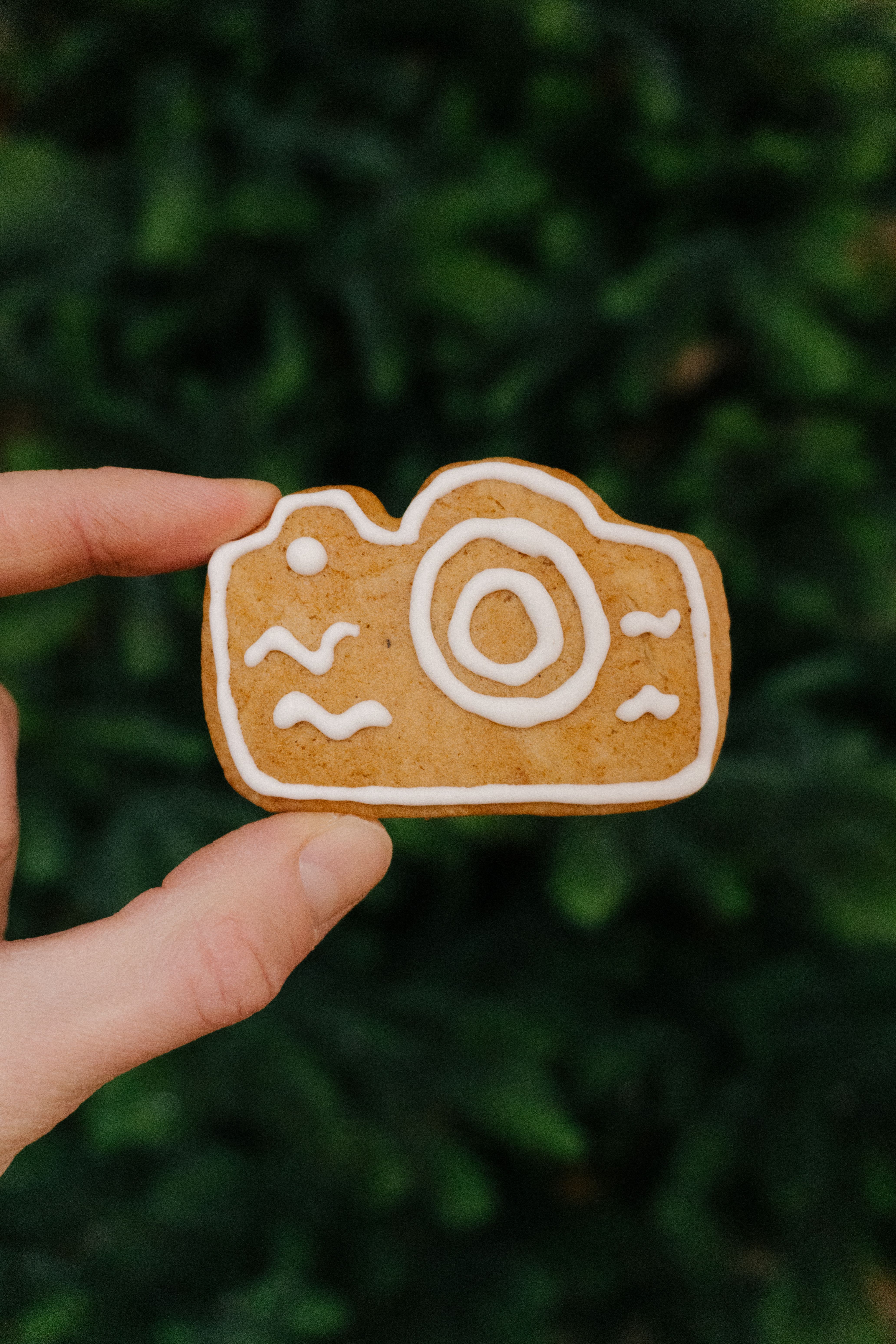 Image In Cookie Photos, Download The BEST Free Image In Cookie Stock ...