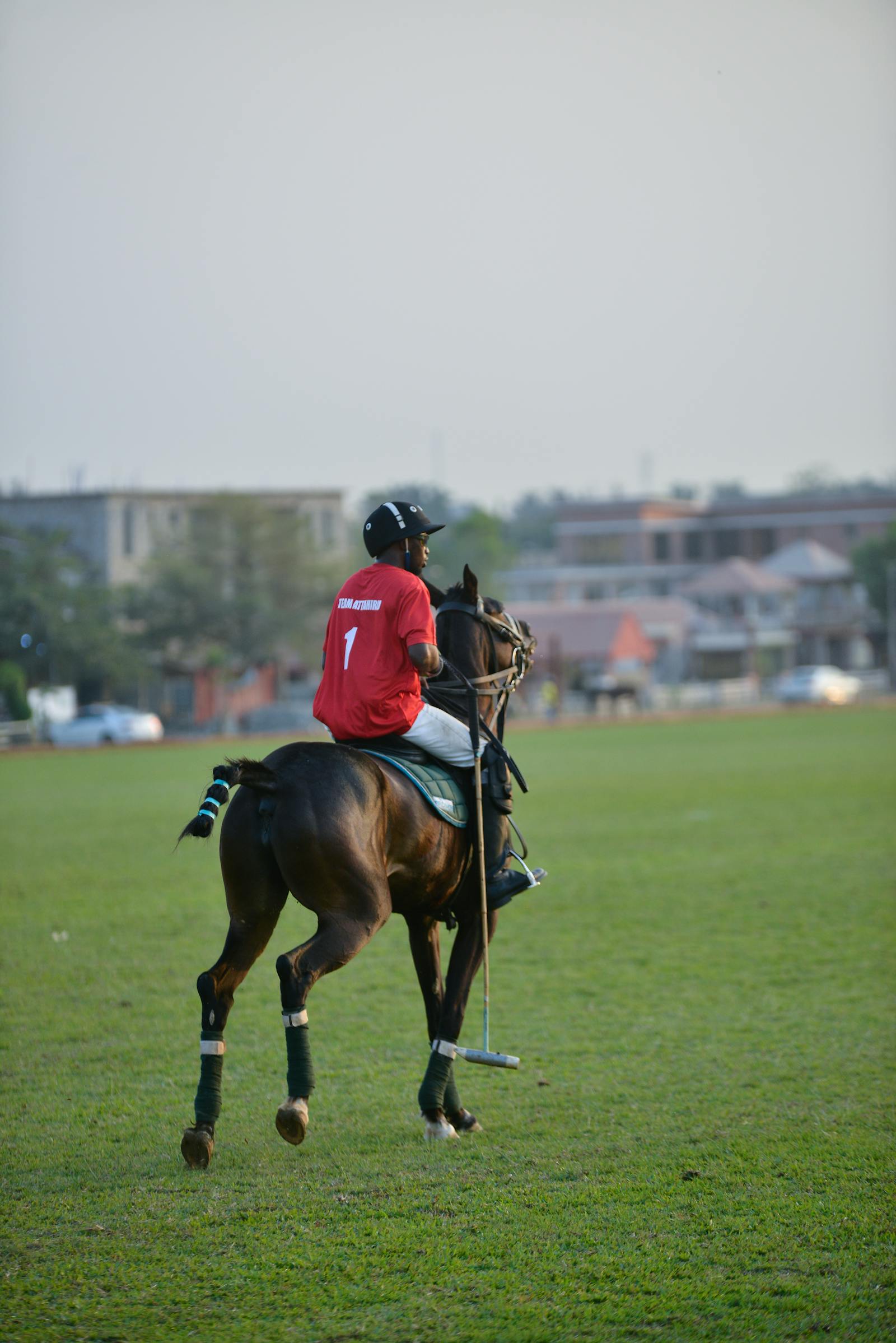 Horse Riding Pictures Photos, Download The BEST Free Horse Riding ...