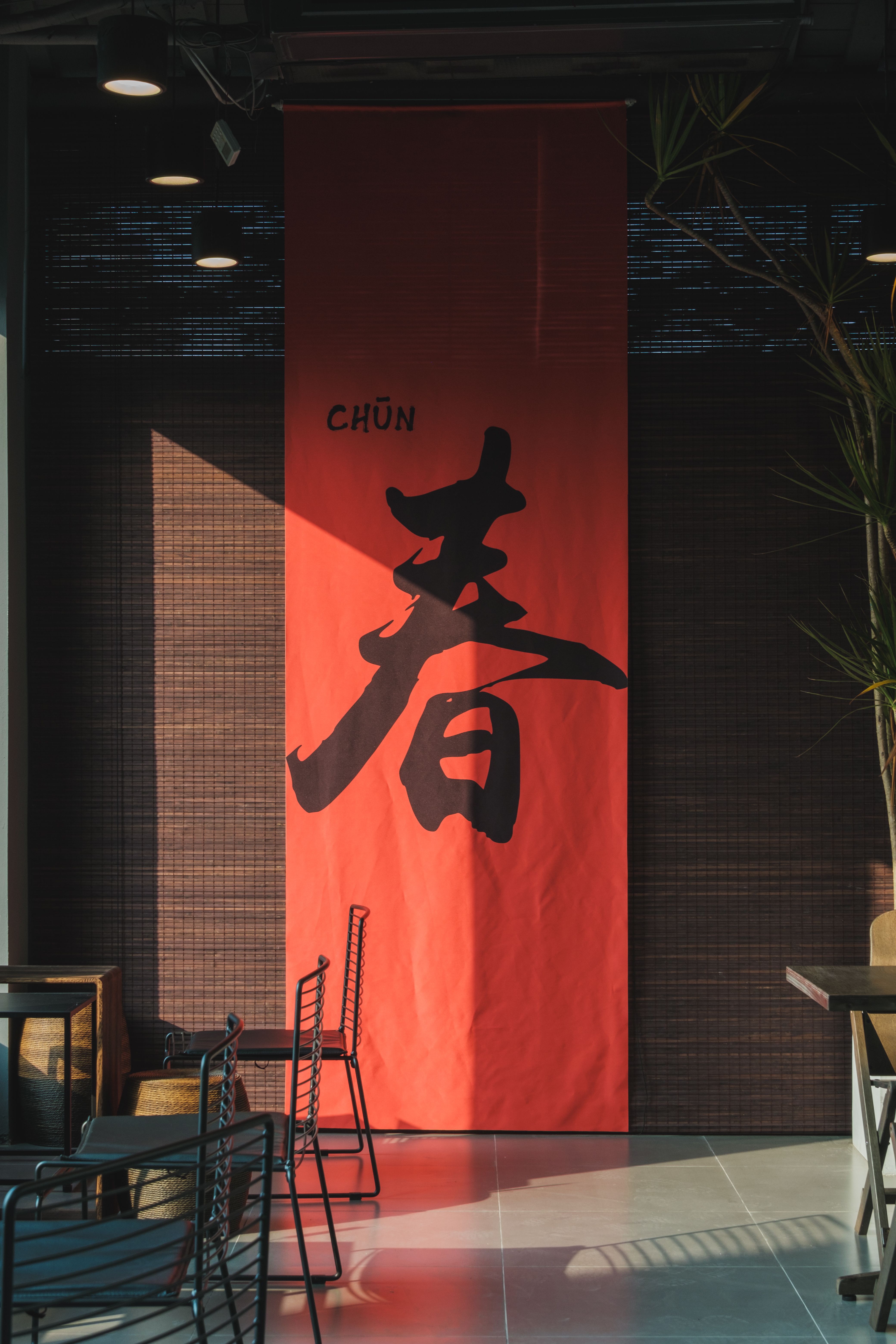 Chun Lee Gyatt Photos, Download The BEST Free Chun Lee Gyatt Stock ...