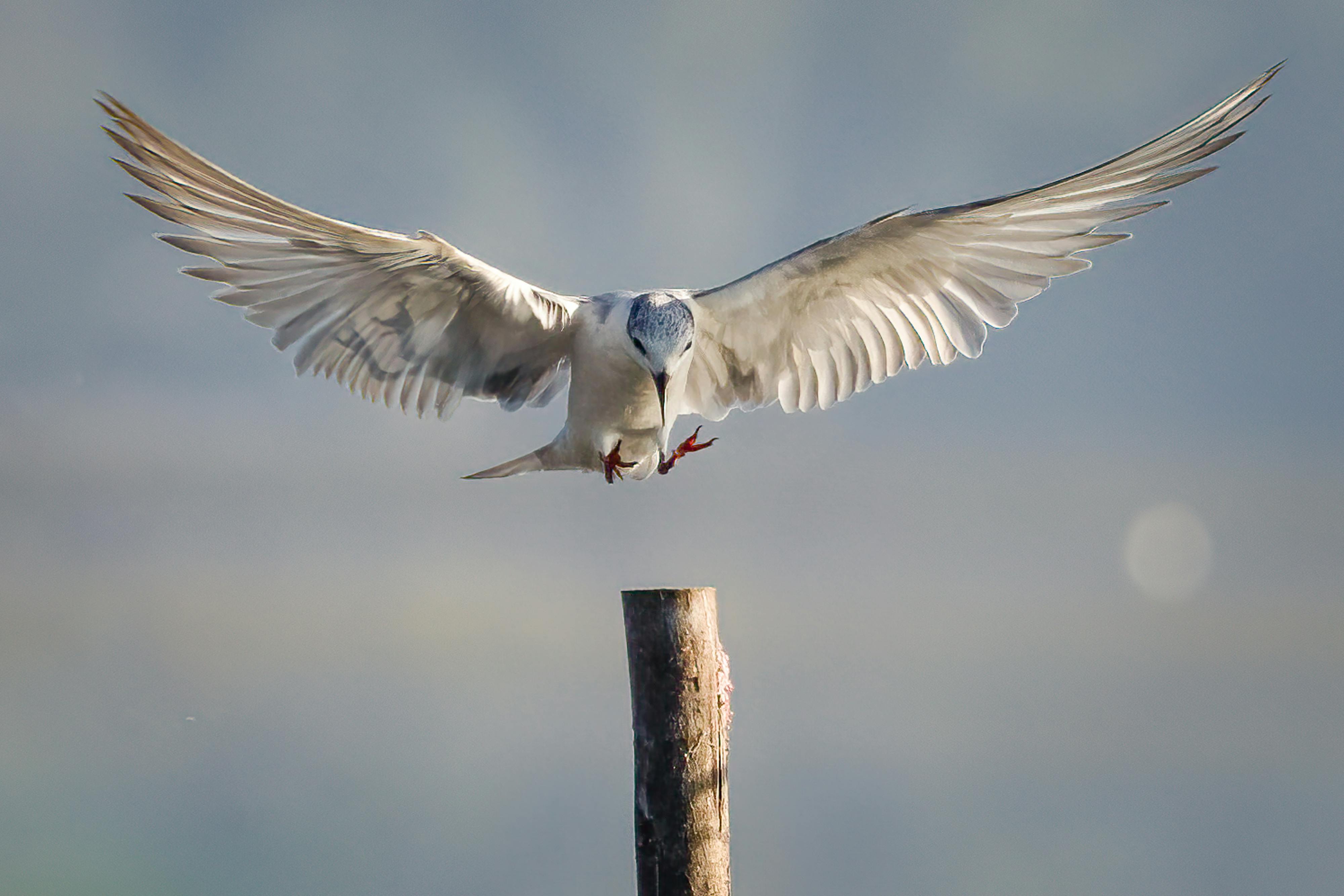 Inconsistent Instagrm Post Photos, Download The BEST Free Inconsistent ...