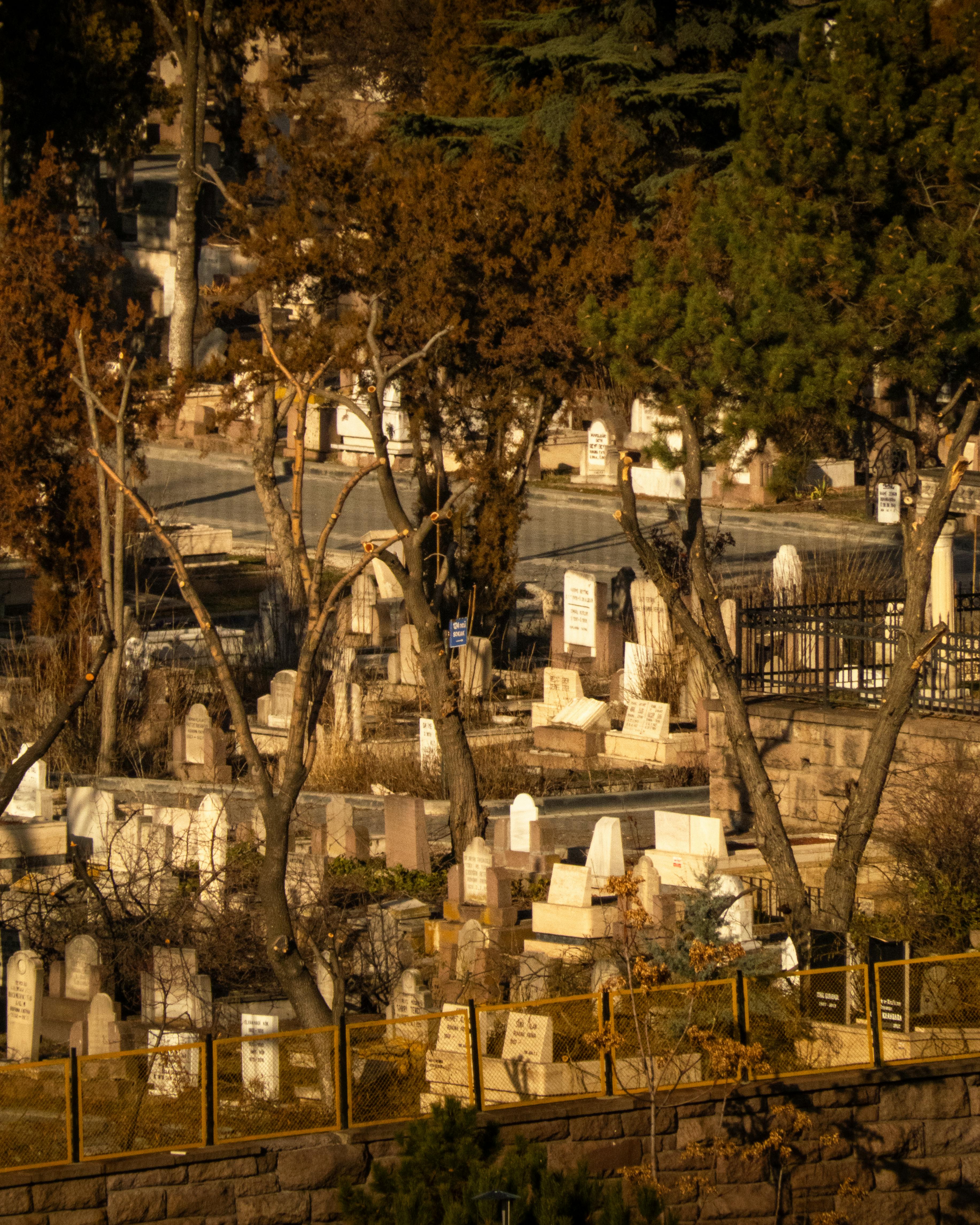 Serene Cemetery with Historic Headstones · Free Stock Photo