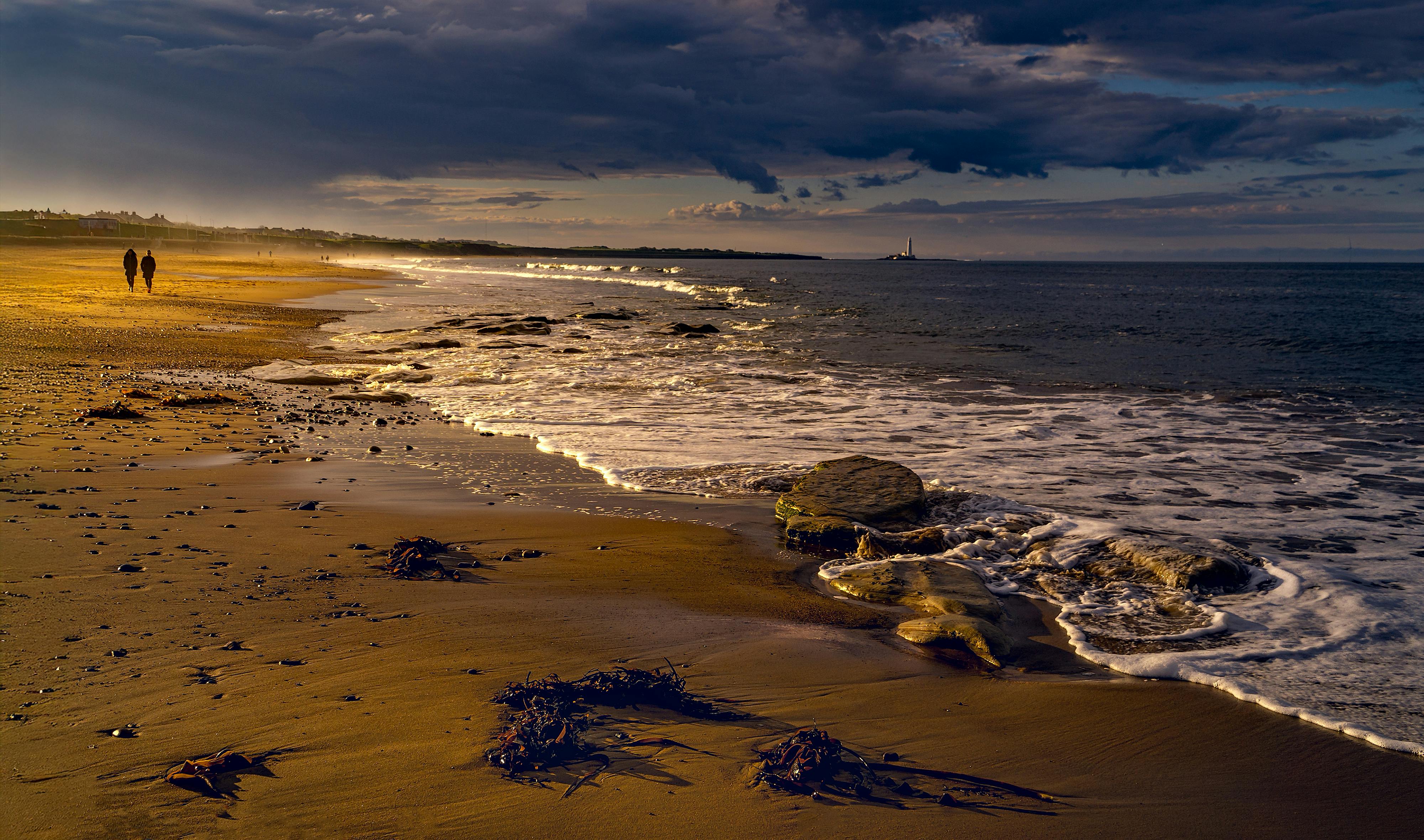 Calm Walking Photos, Download The BEST Free Calm Walking Stock Photos ...