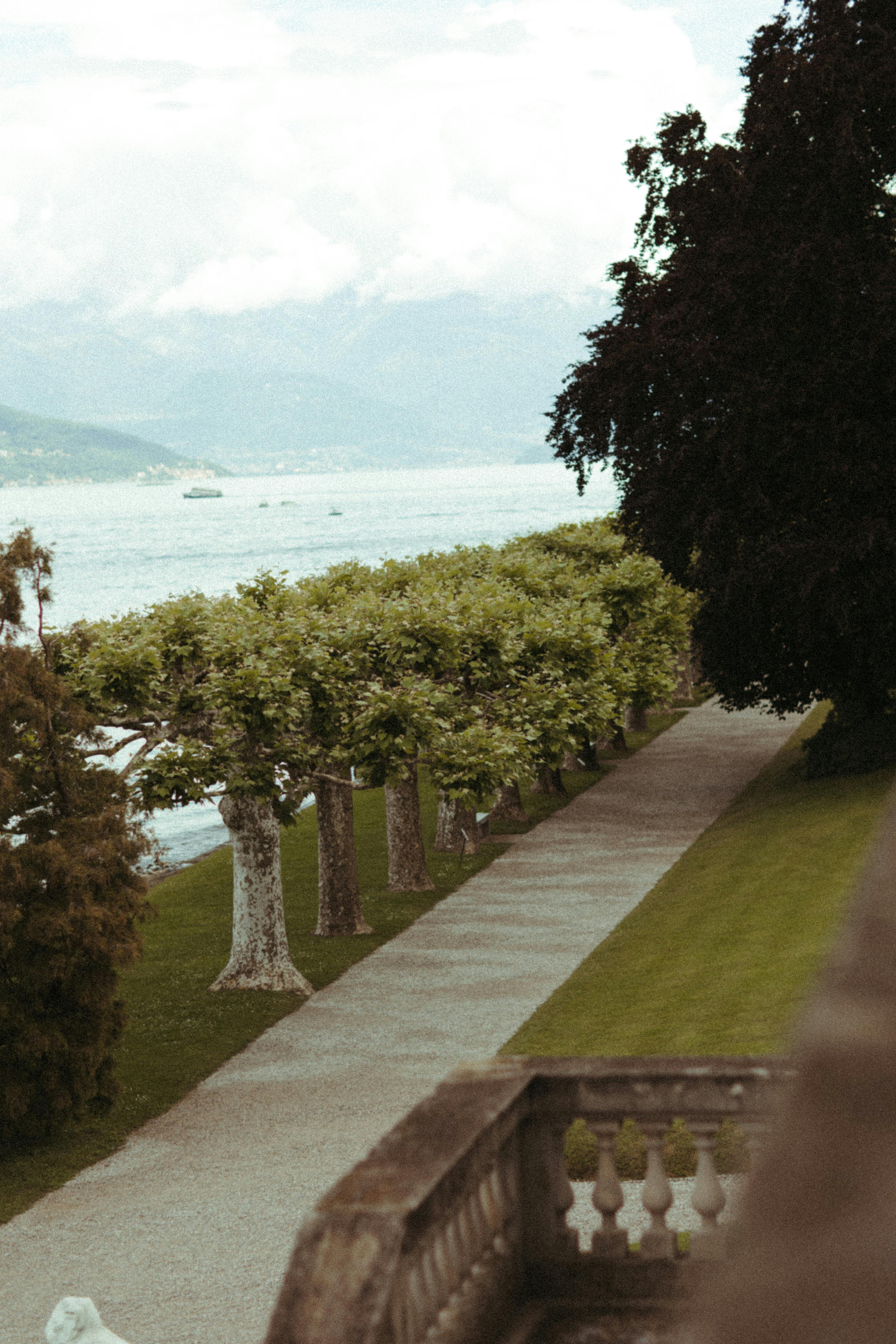 Scenic Lakeside Path with Lush Trees in Summer · Free Stock Photo