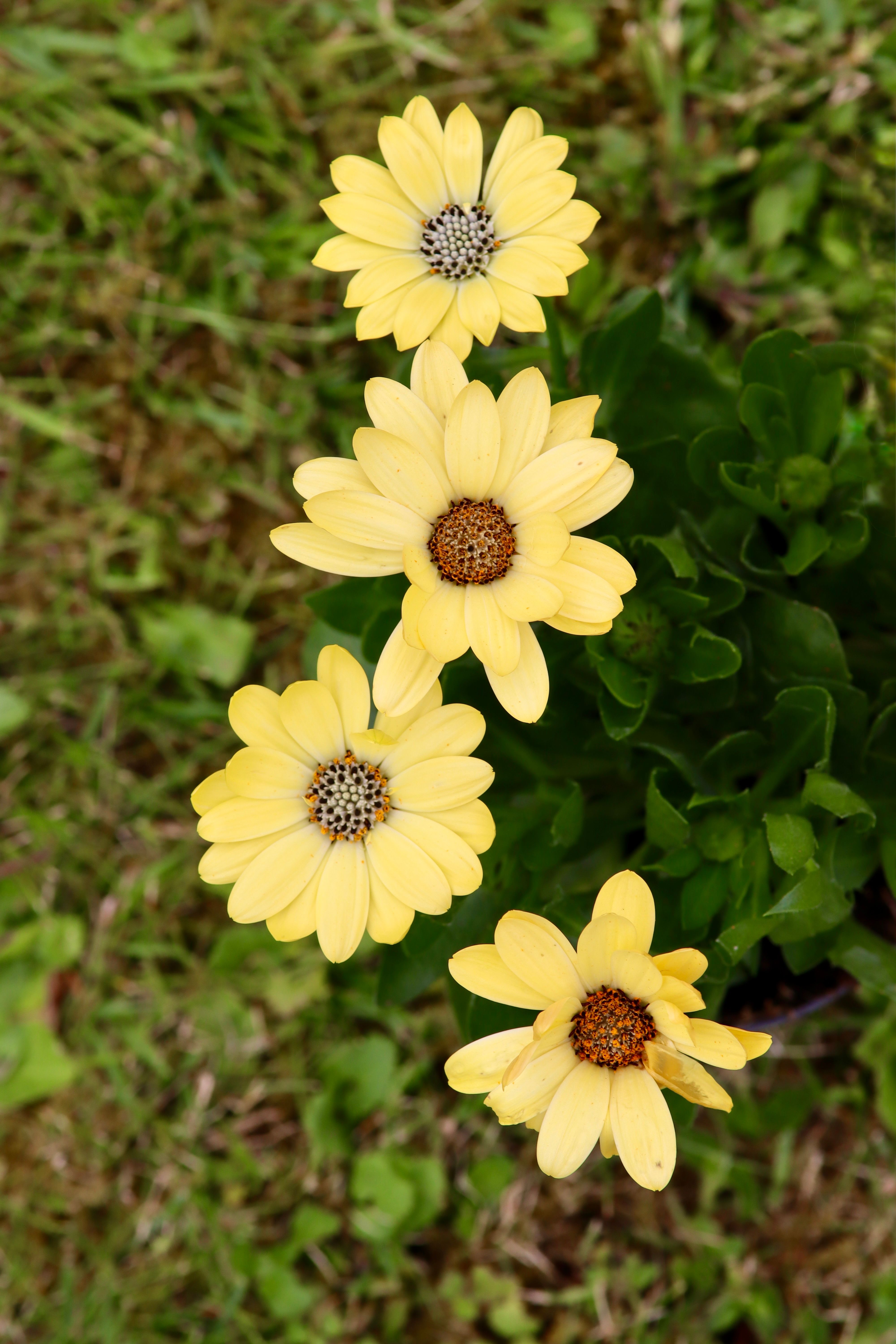 Fedex Center Photos, Download The BEST Free Fedex Center Stock Photos ...