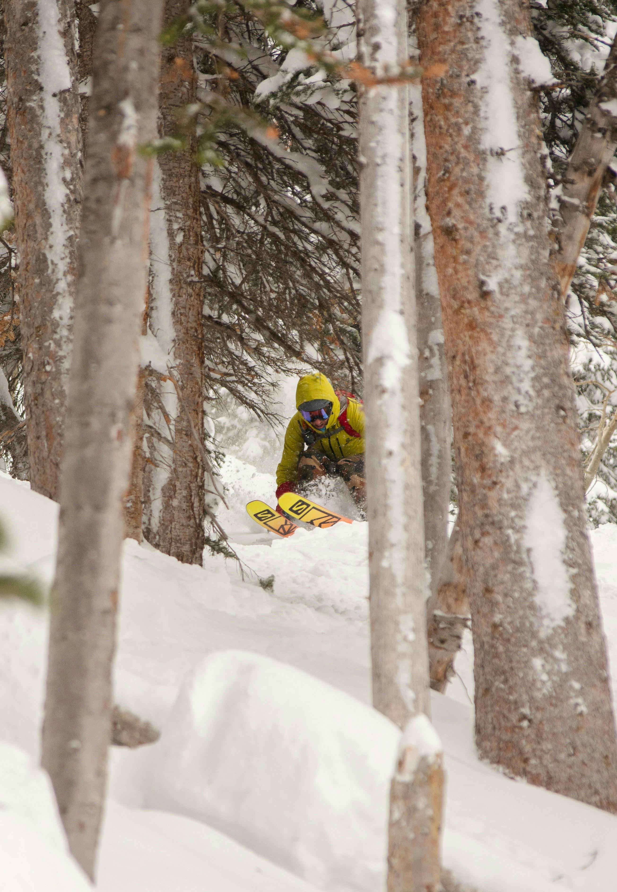 Skiing Through Snowy Trees in Brighton, Utah · Free Stock Photo