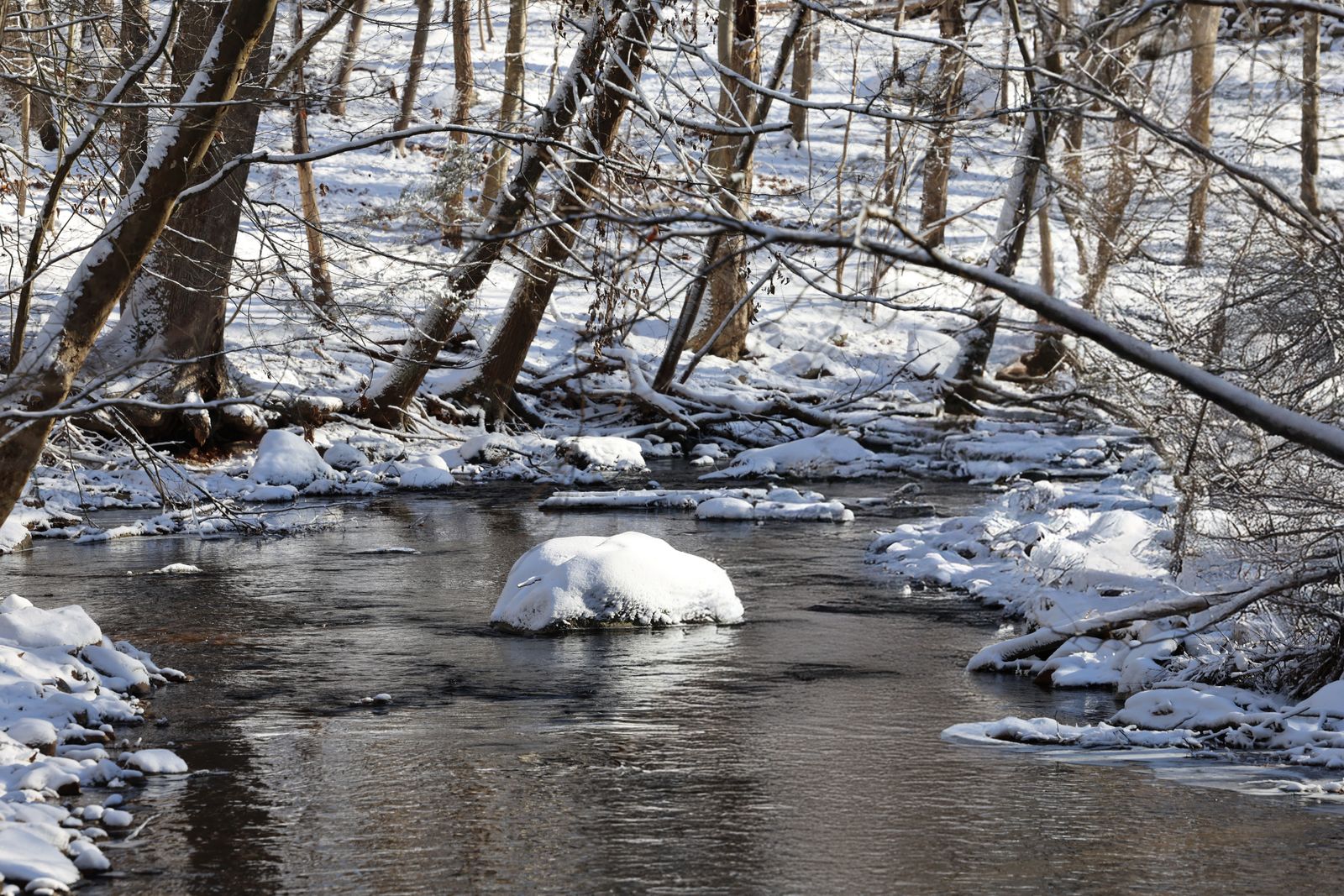 January Winter Photos, Download The BEST Free January Winter Stock ...