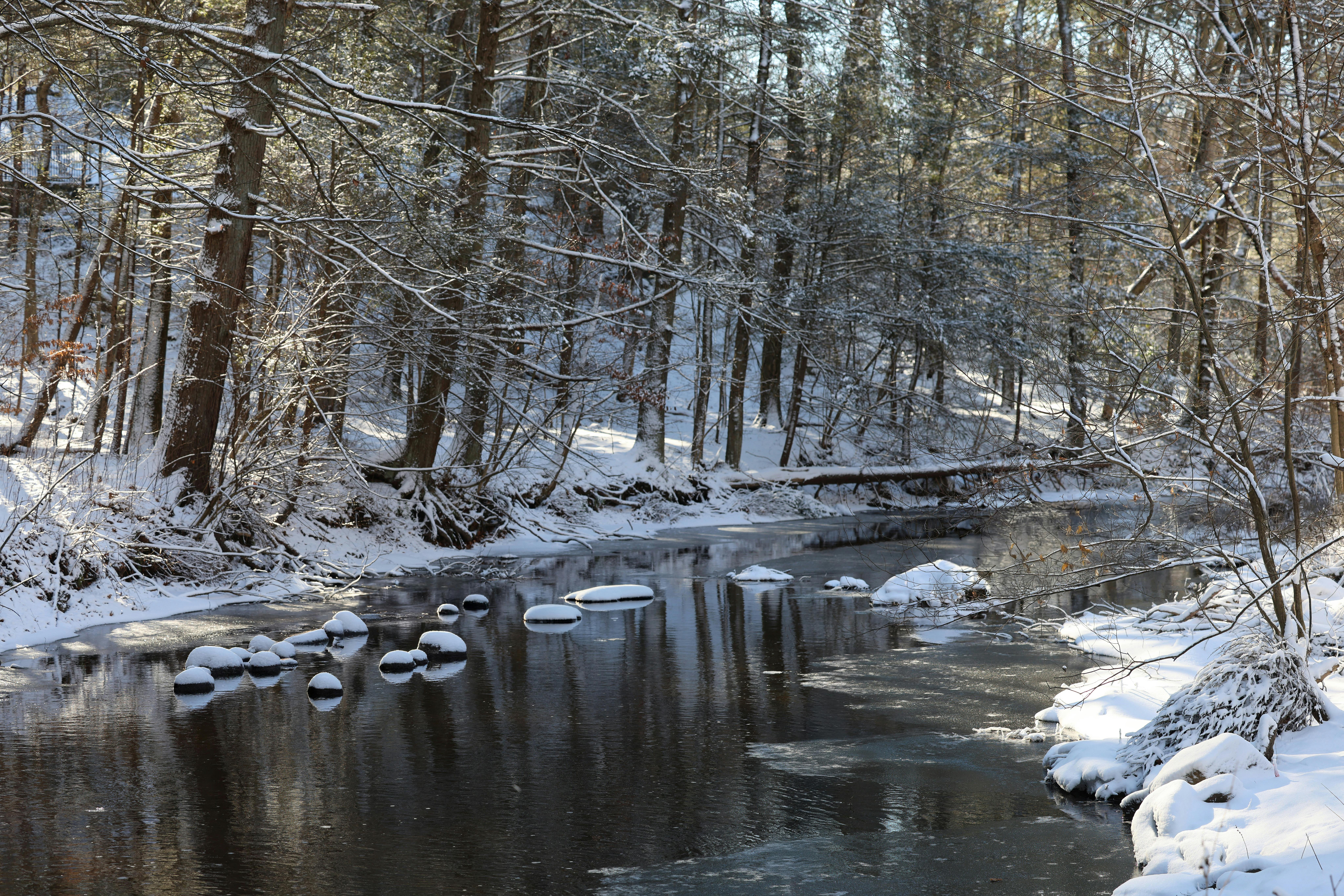 Winter Wonderland along the Mianus River · Free Stock Photo