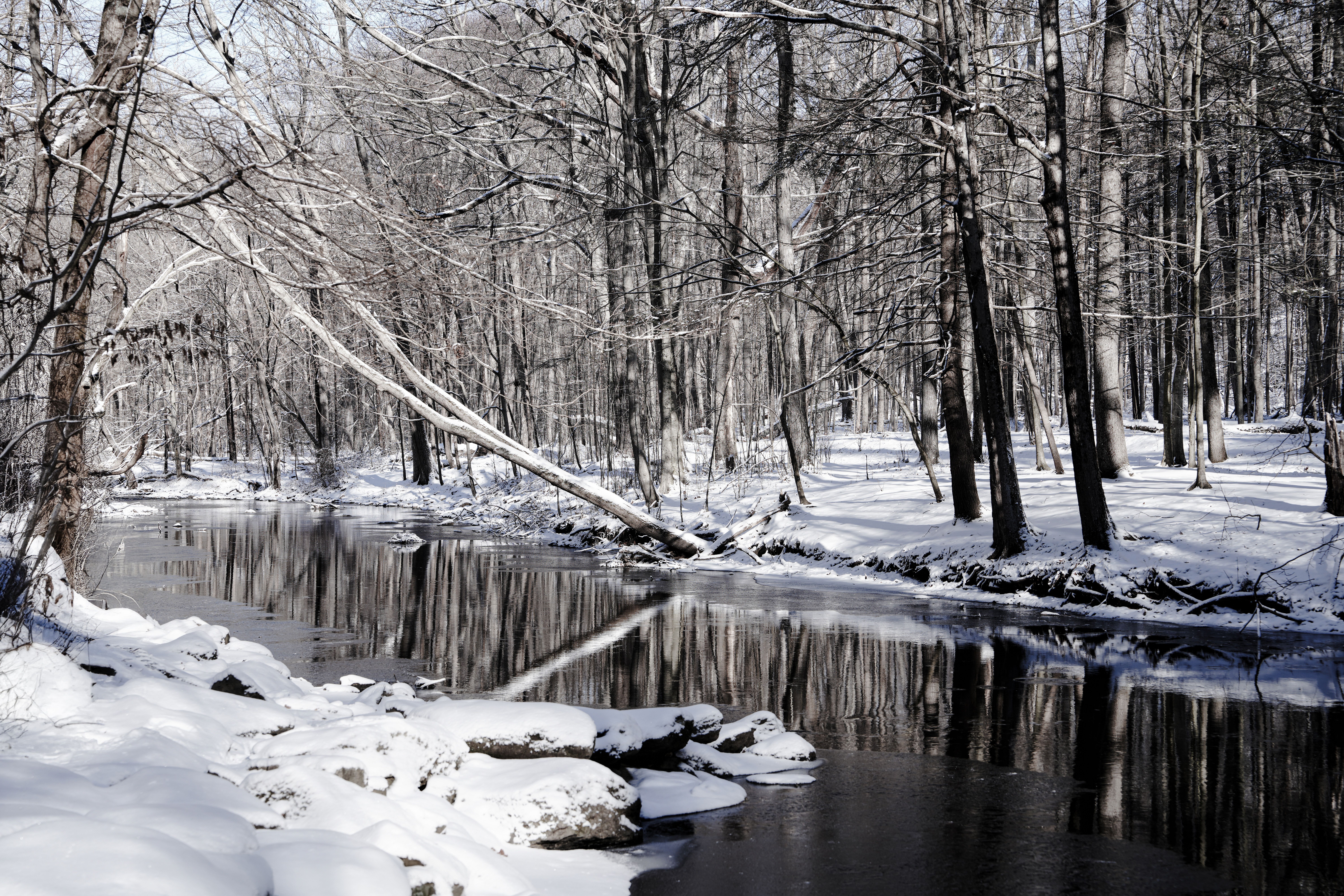 Connecticut Brook Trout Photos, Download The BEST Free Connecticut ...