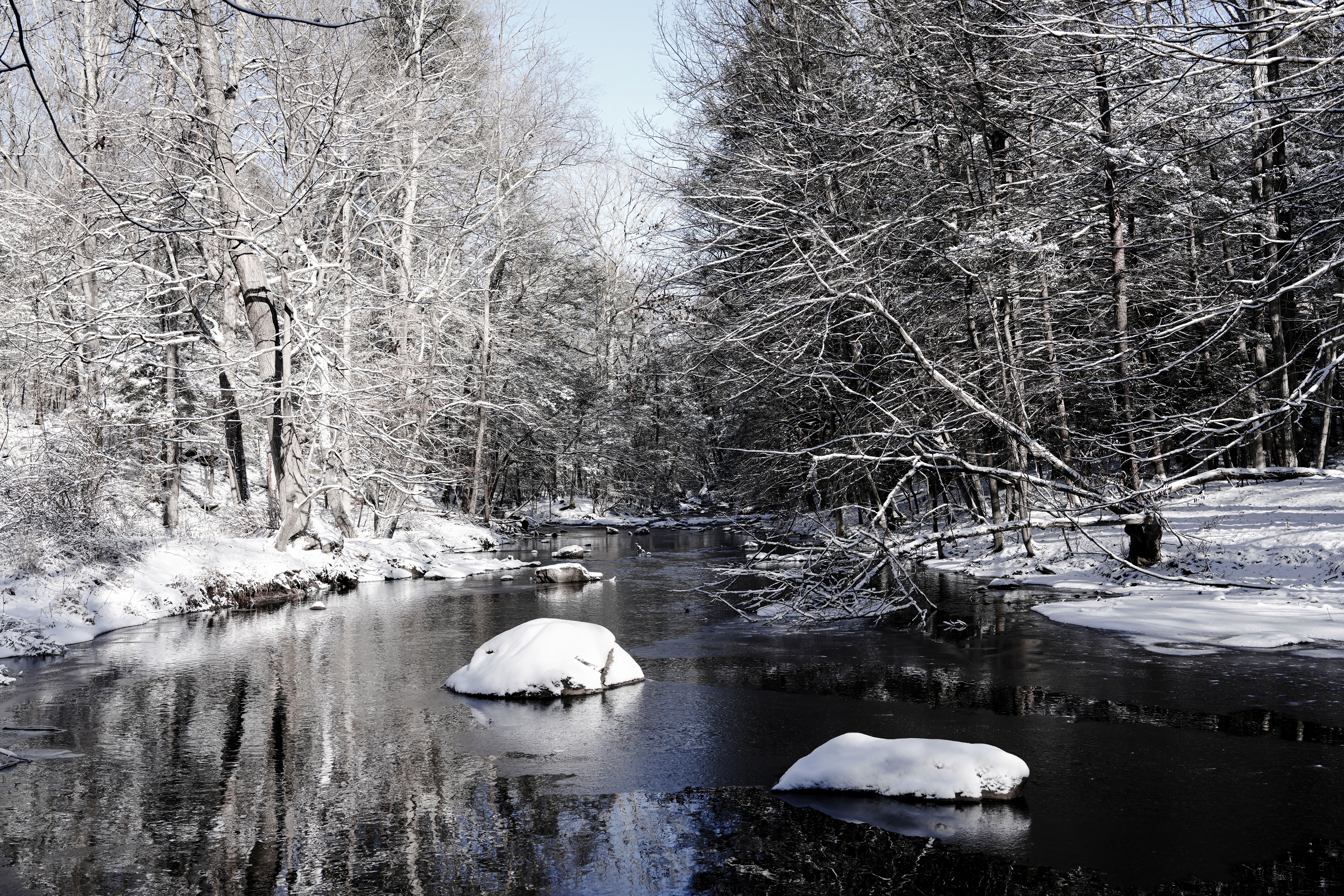 Serene Winter Landscape at Mianus River · Free Stock Photo