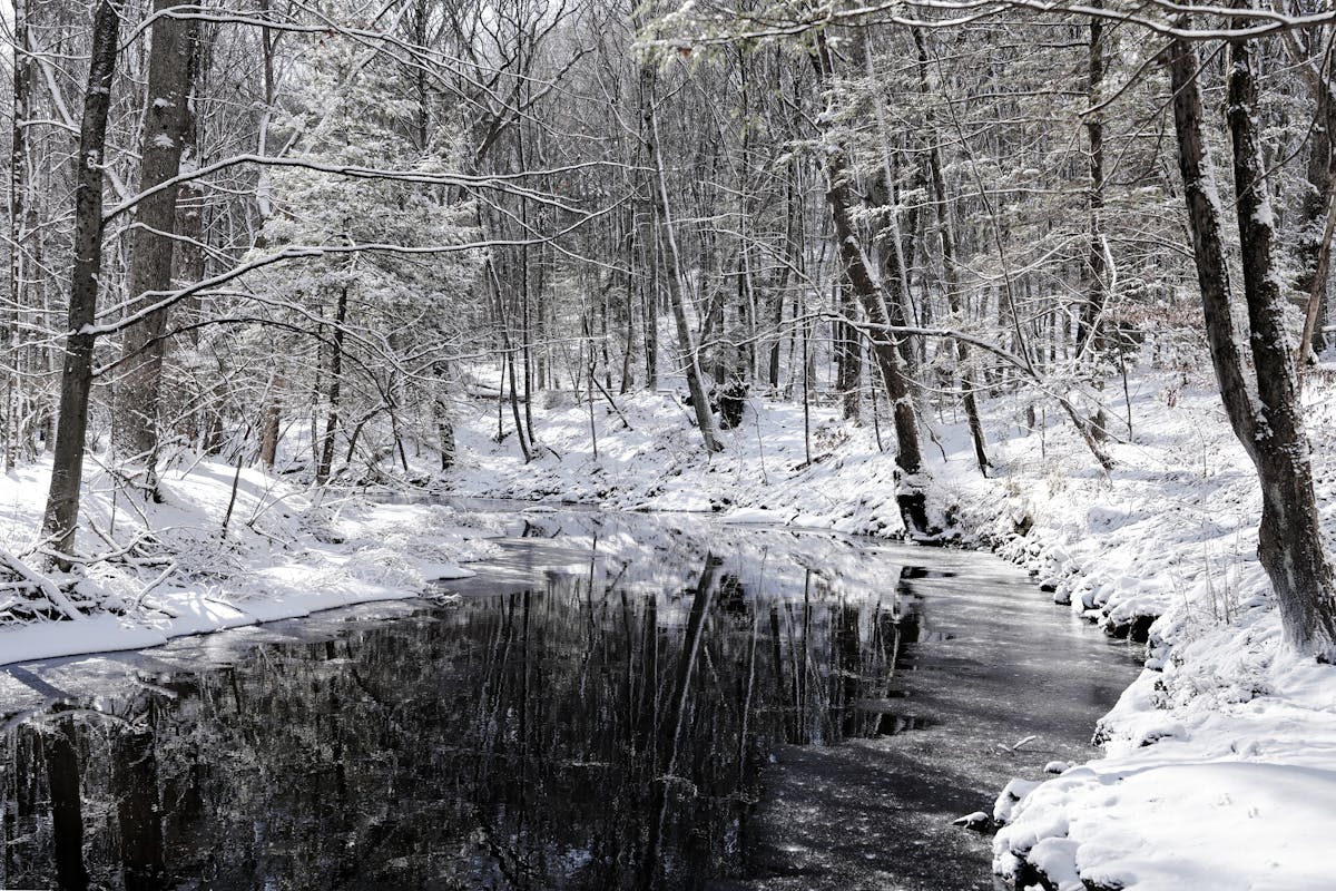 208.443+ Fotos y Imágenes de Clima frio Gratis · Banco de Fotos Gratis