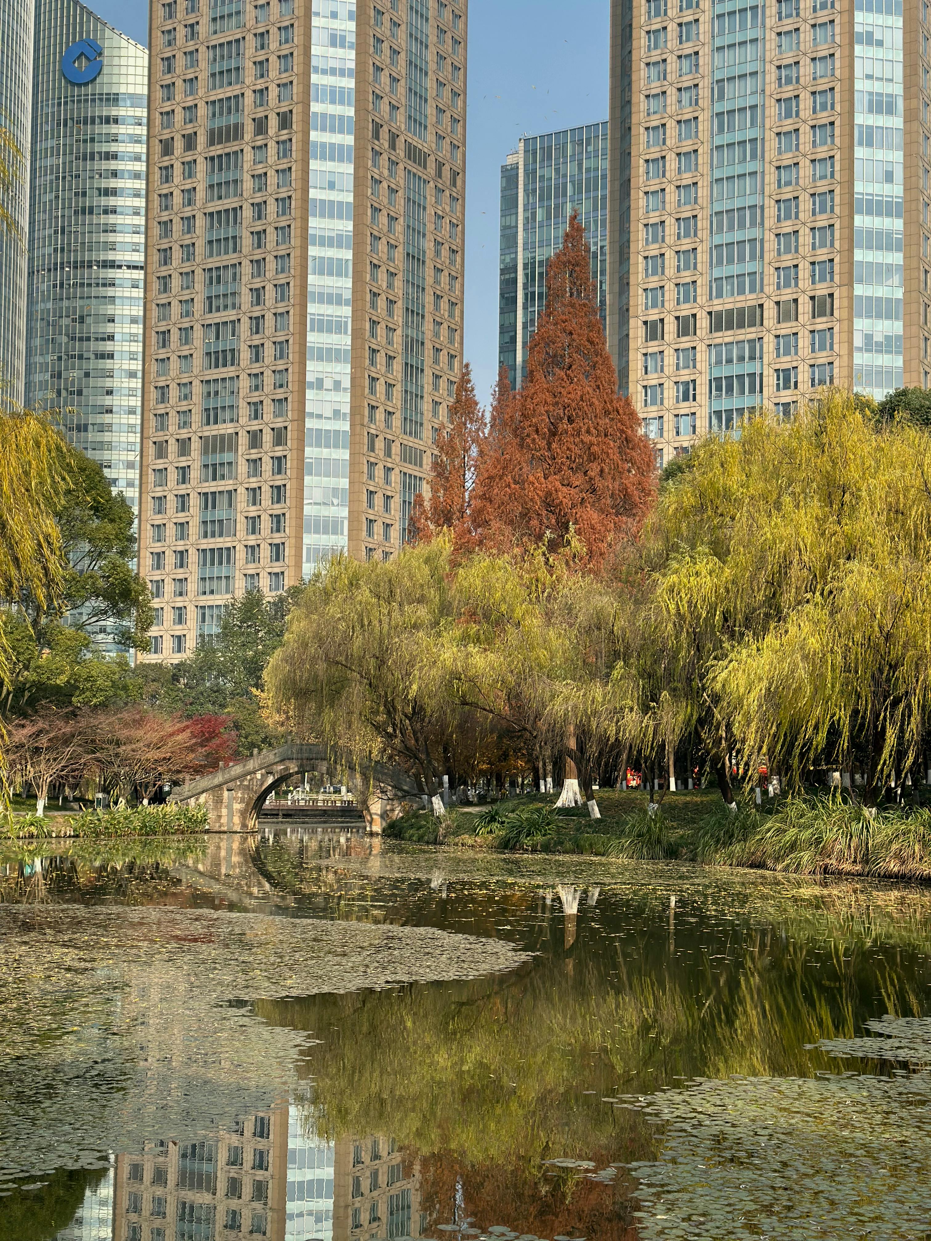 Urban Park in Hangzhou with Skyscrapers · Free Stock Photo