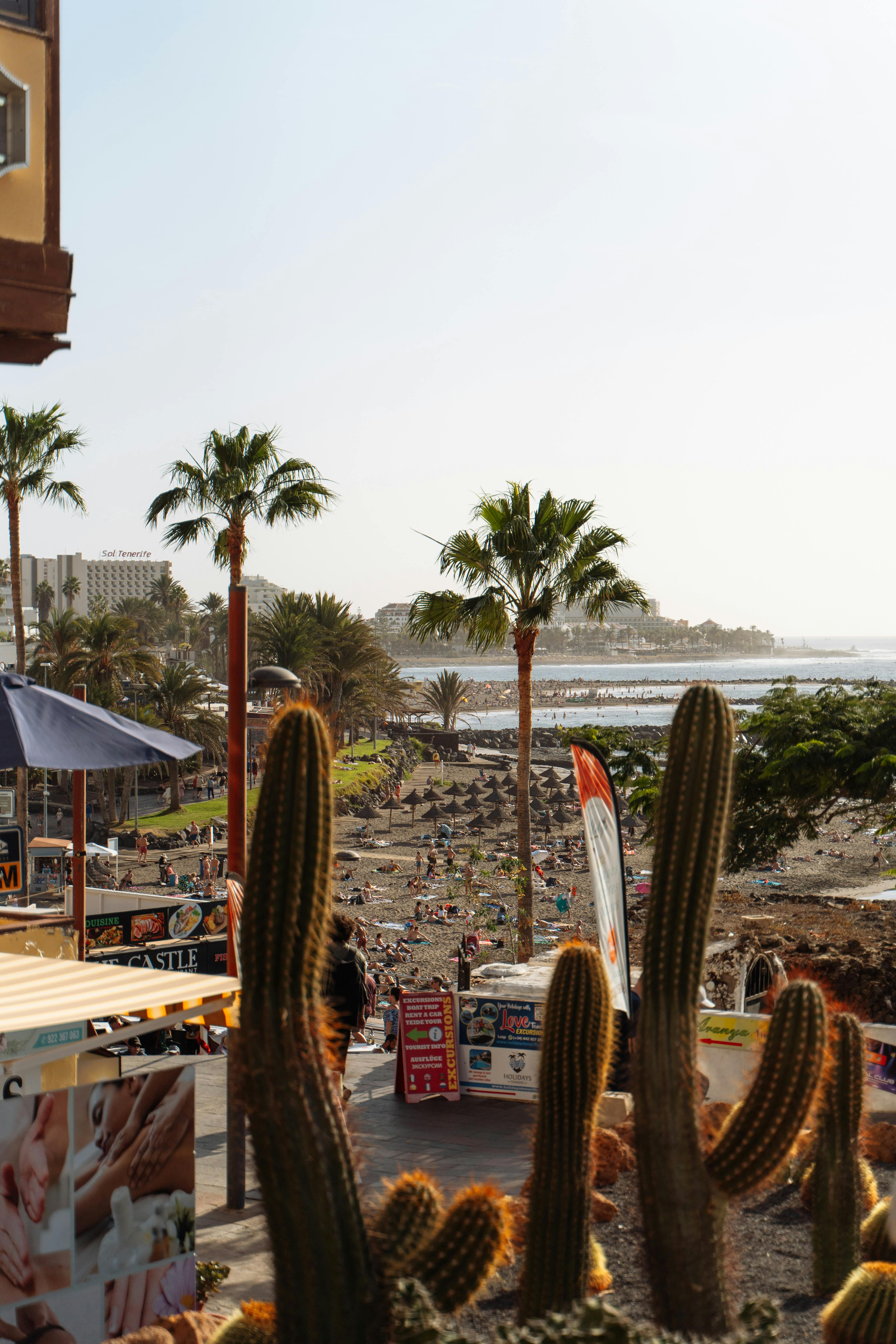 Beachfront Activities Photos, Download The BEST Free Beachfront ...