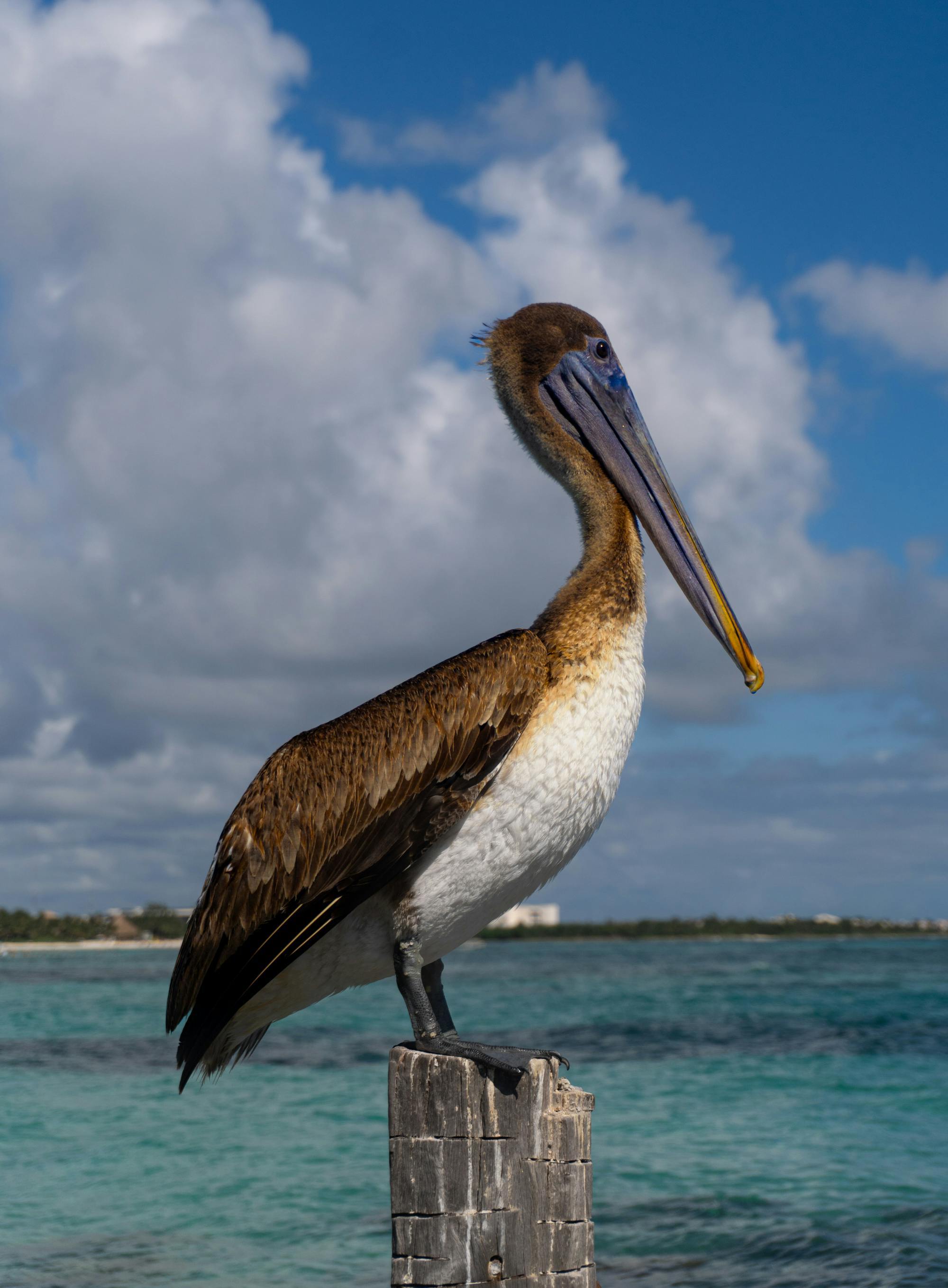 LAOD.01 - Photography