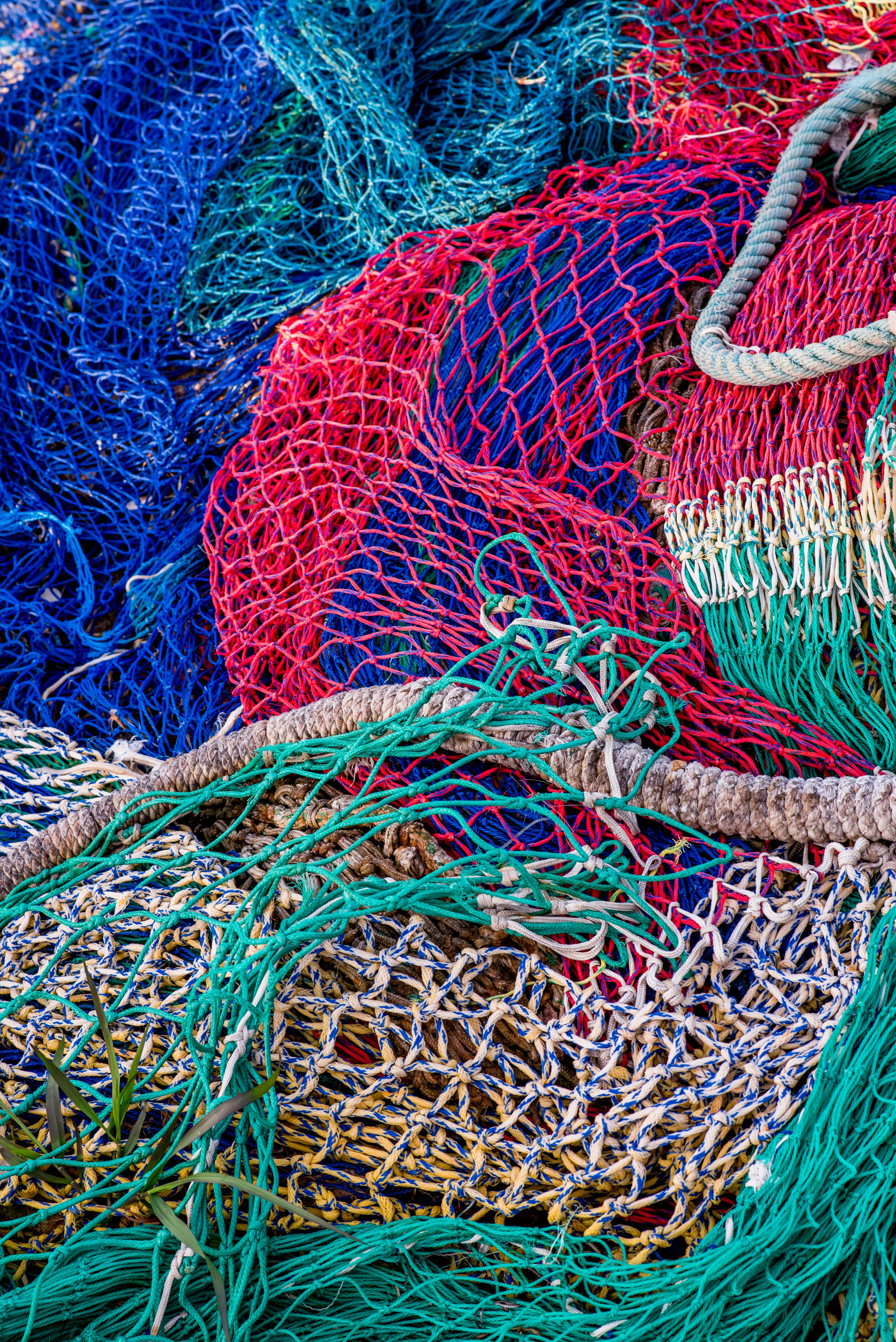 Colorful Fishing Nets Close-up in Bright Textures · Free Stock Photo