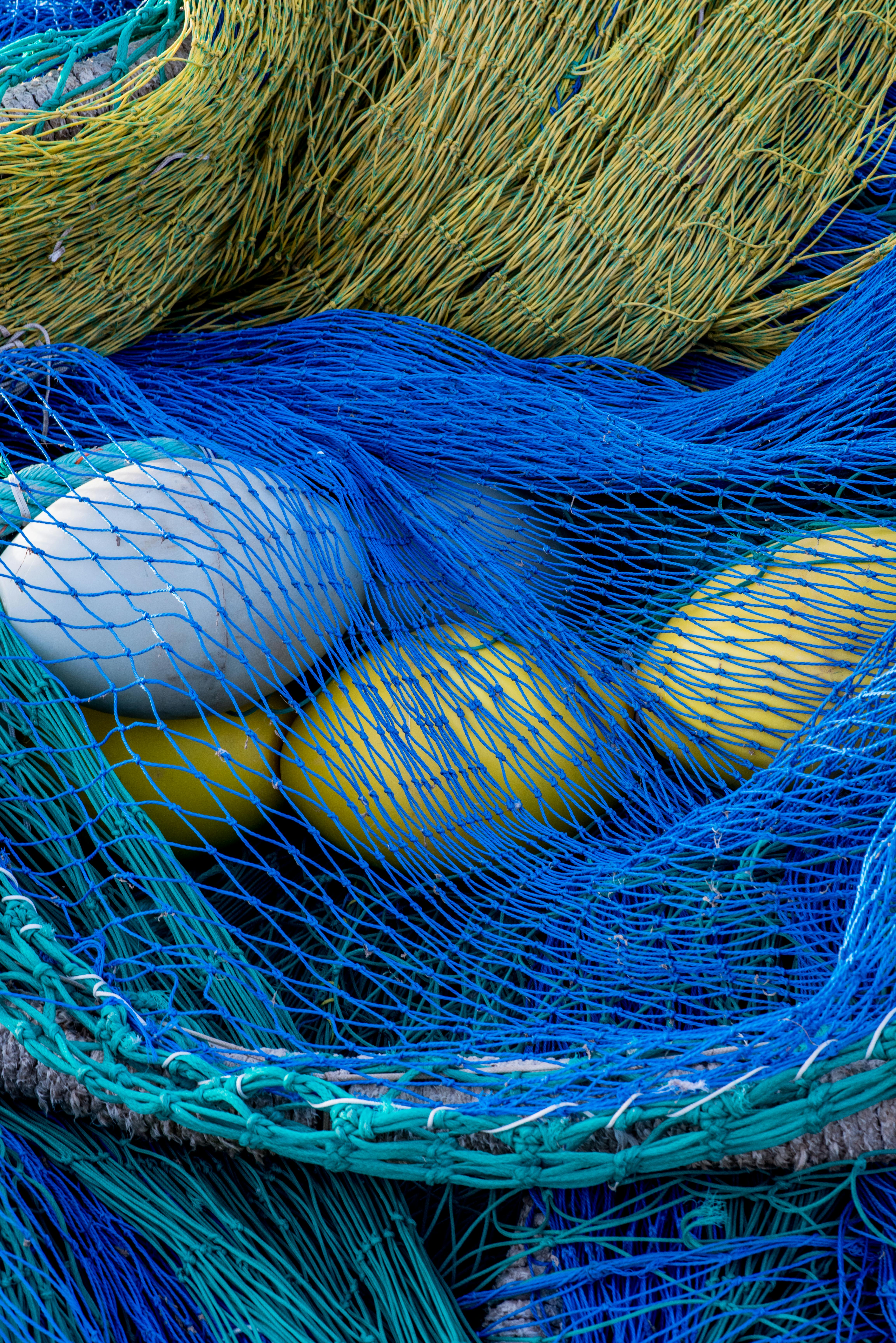 Fishing Pattern Photos, Download The BEST Free Fishing Pattern Stock ...