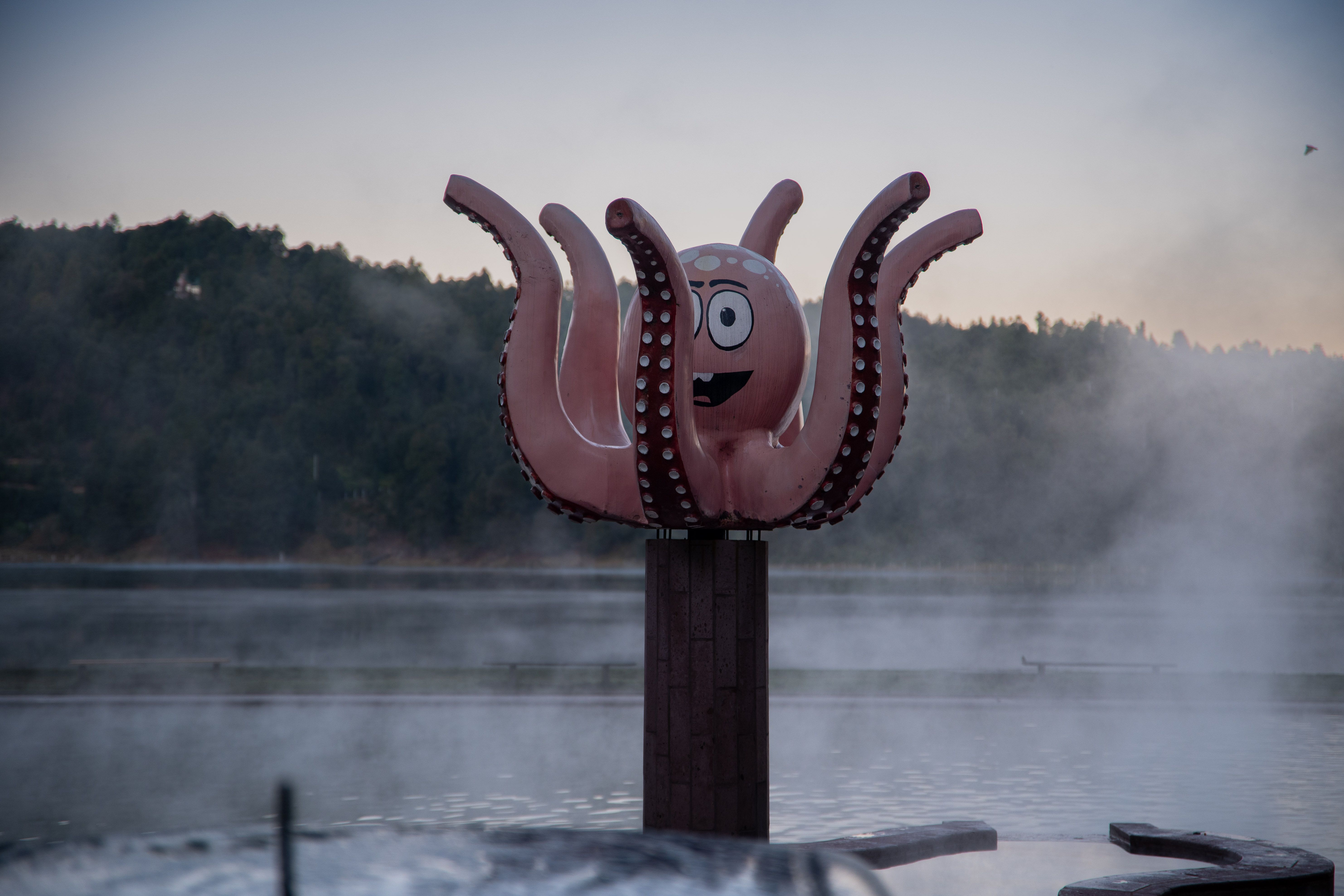 Playful Octopus Sculpture at Los Azufres Lake · Free Stock Photo