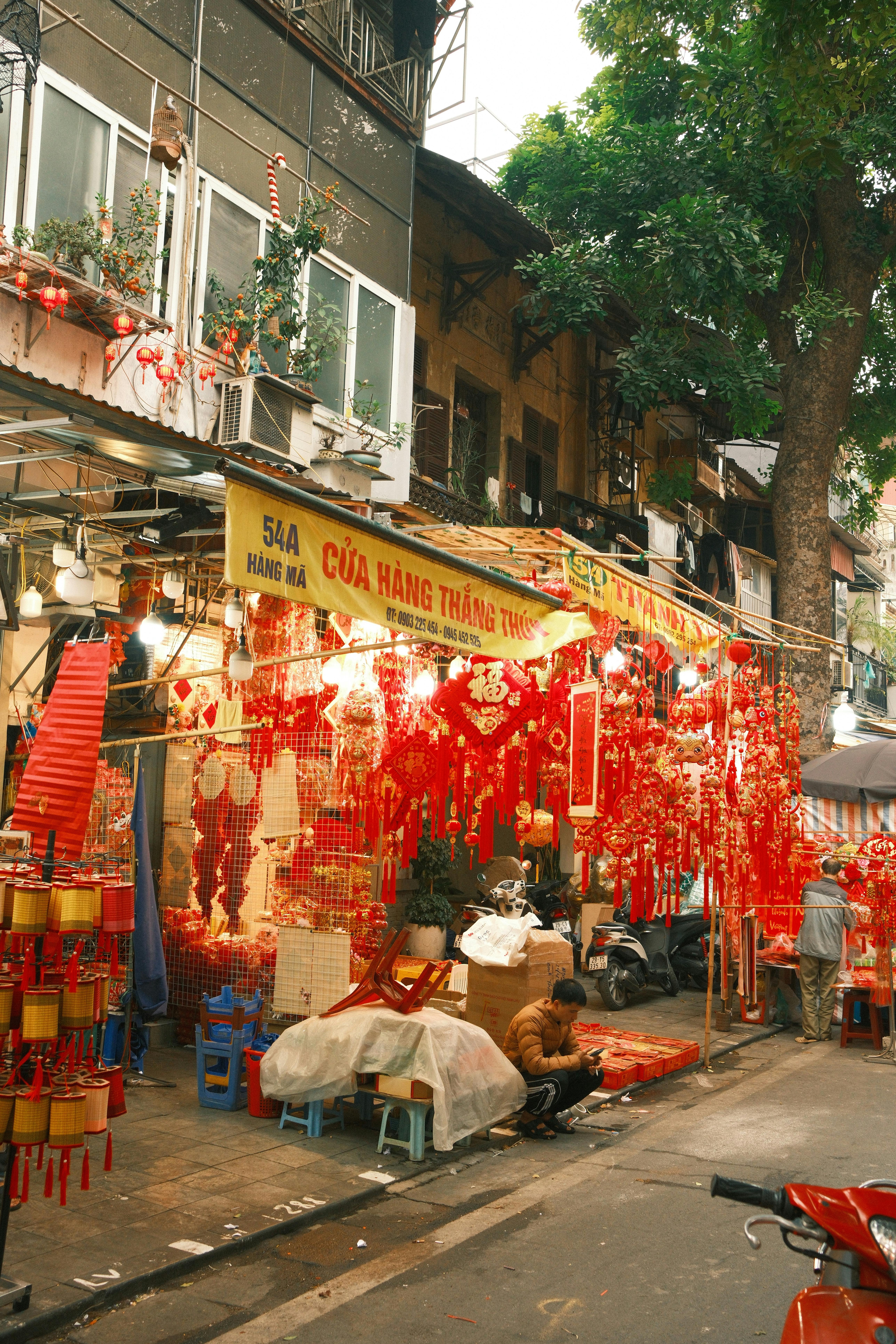 Traditional Tet Decorations in Hanoi Market · Free Stock Photo