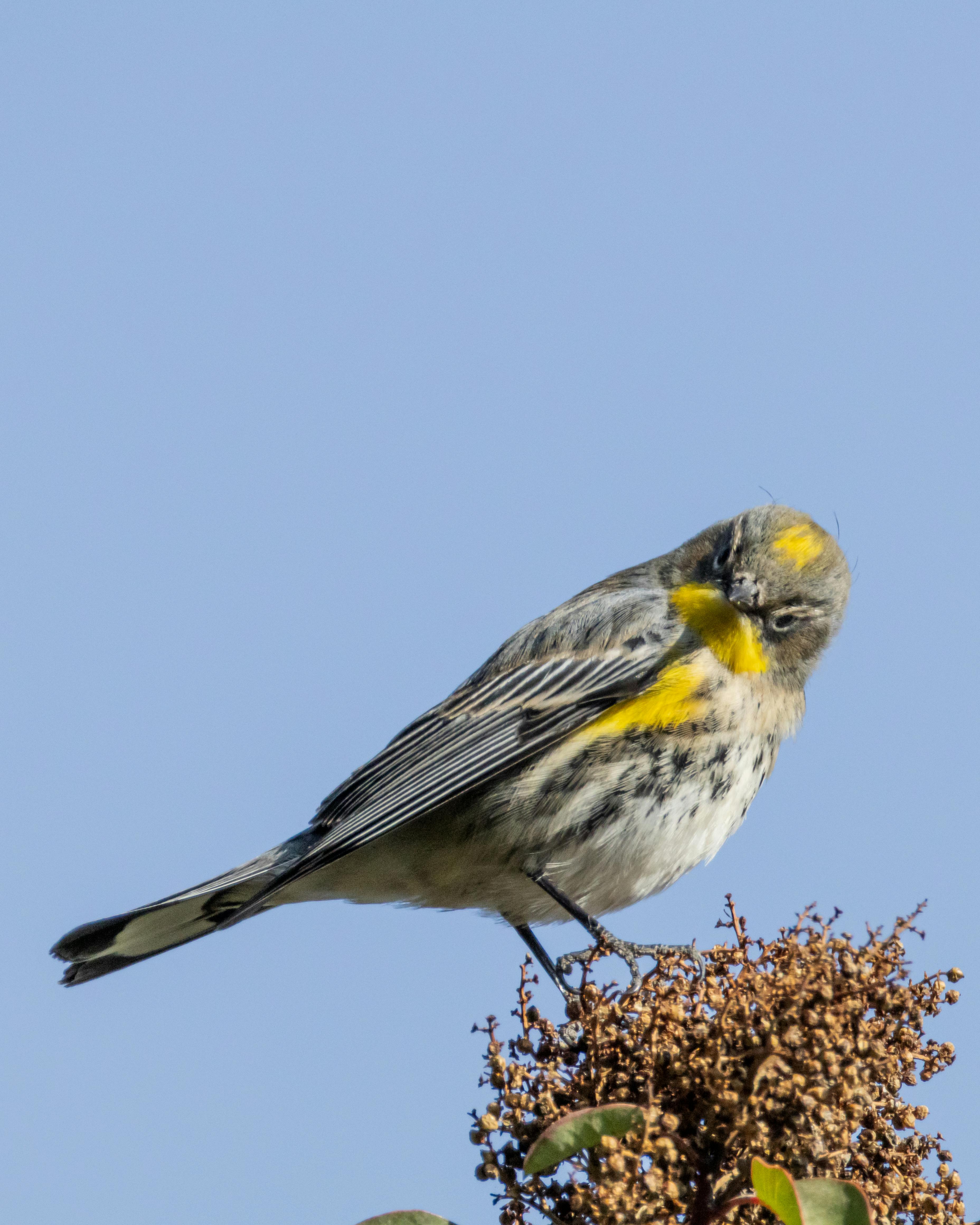 Song Posters Photos, Download The BEST Free Song Posters Stock Photos ...