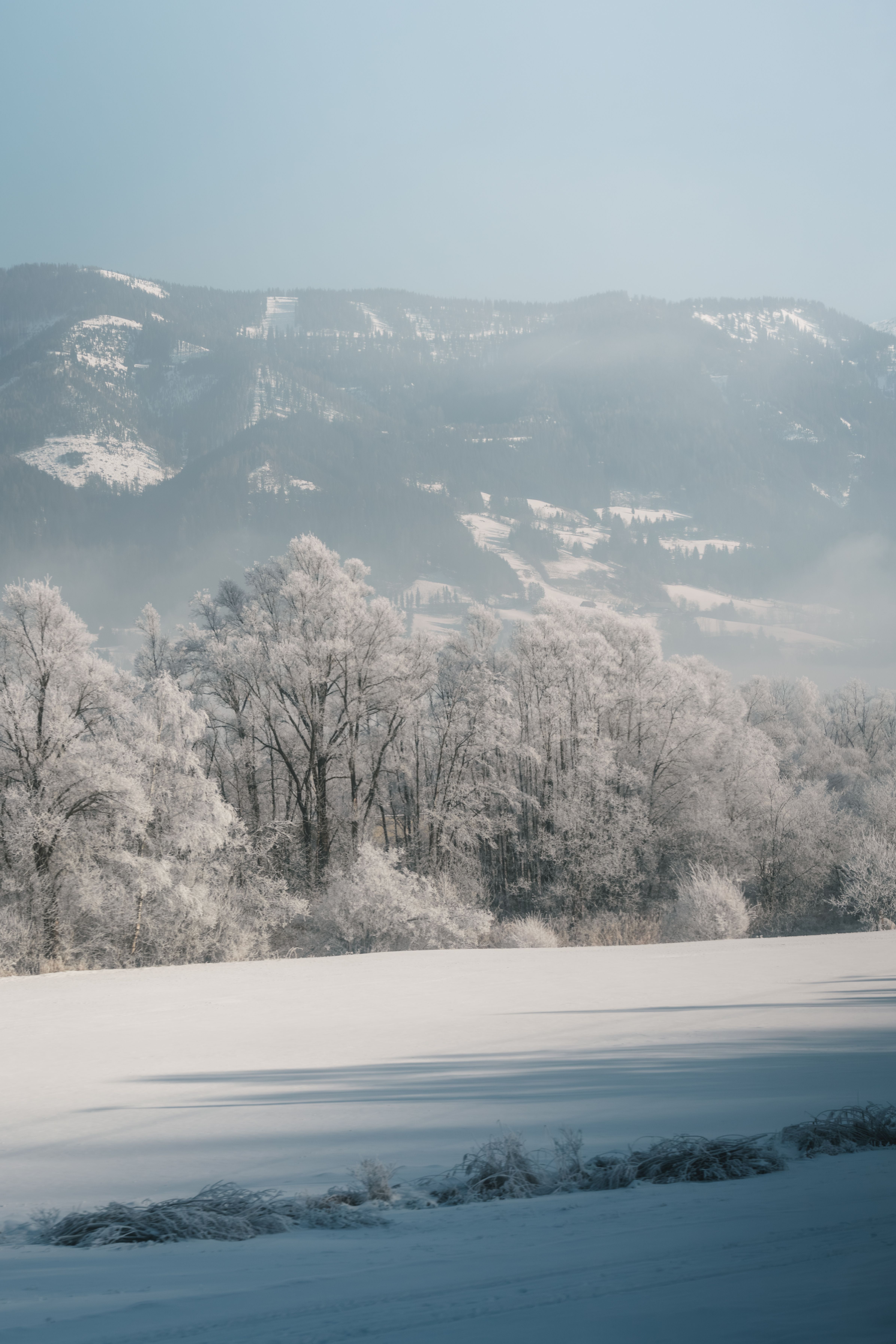 Paisaje Invernal Sereno Con árboles Y Montañas Nevados · Foto de stock ...