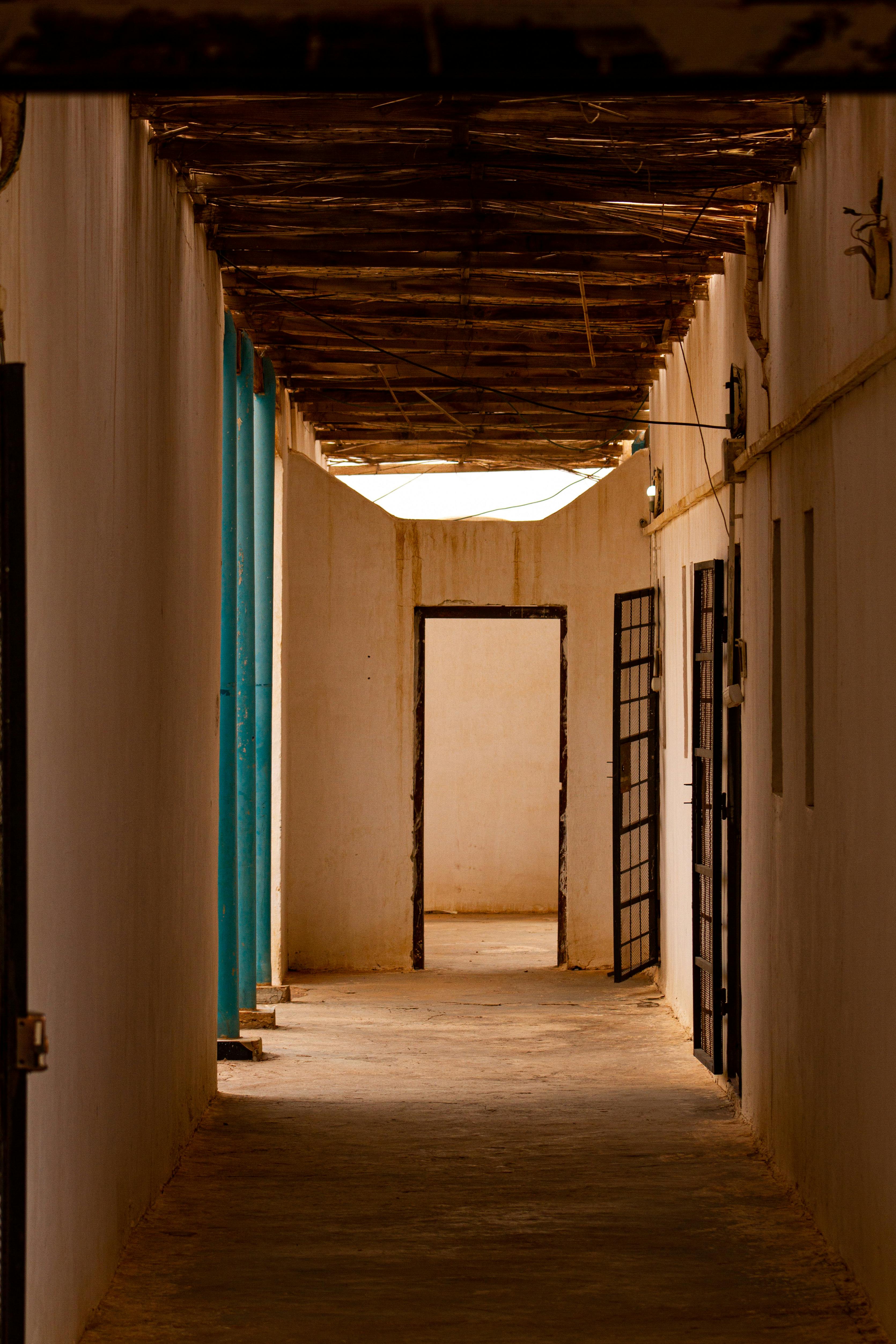 Adobe Photos, Download The BEST Free Adobe Stock Photos & HD Images