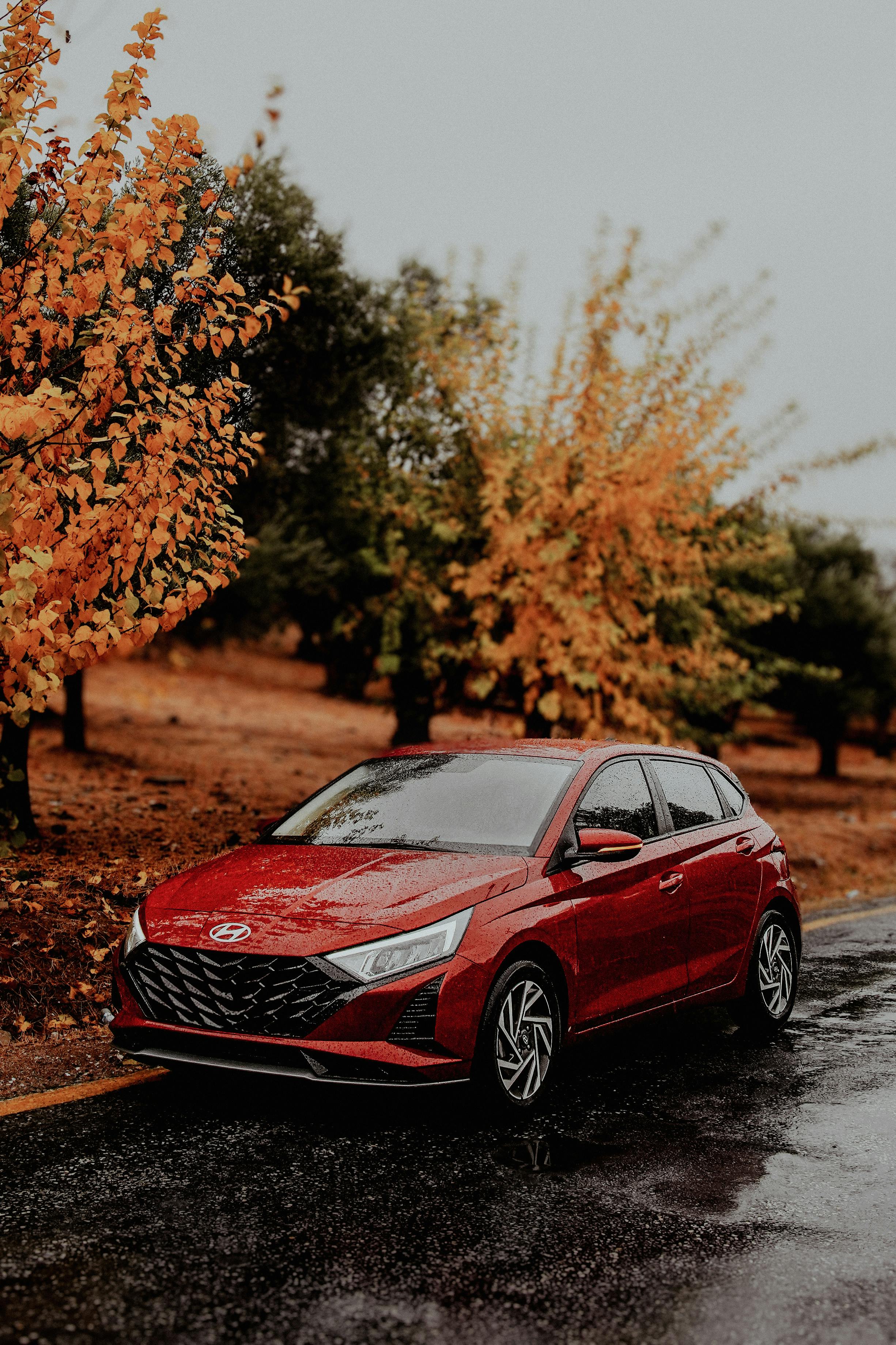 Red Car Parked on Rainy Fall Road · Free Stock Photo