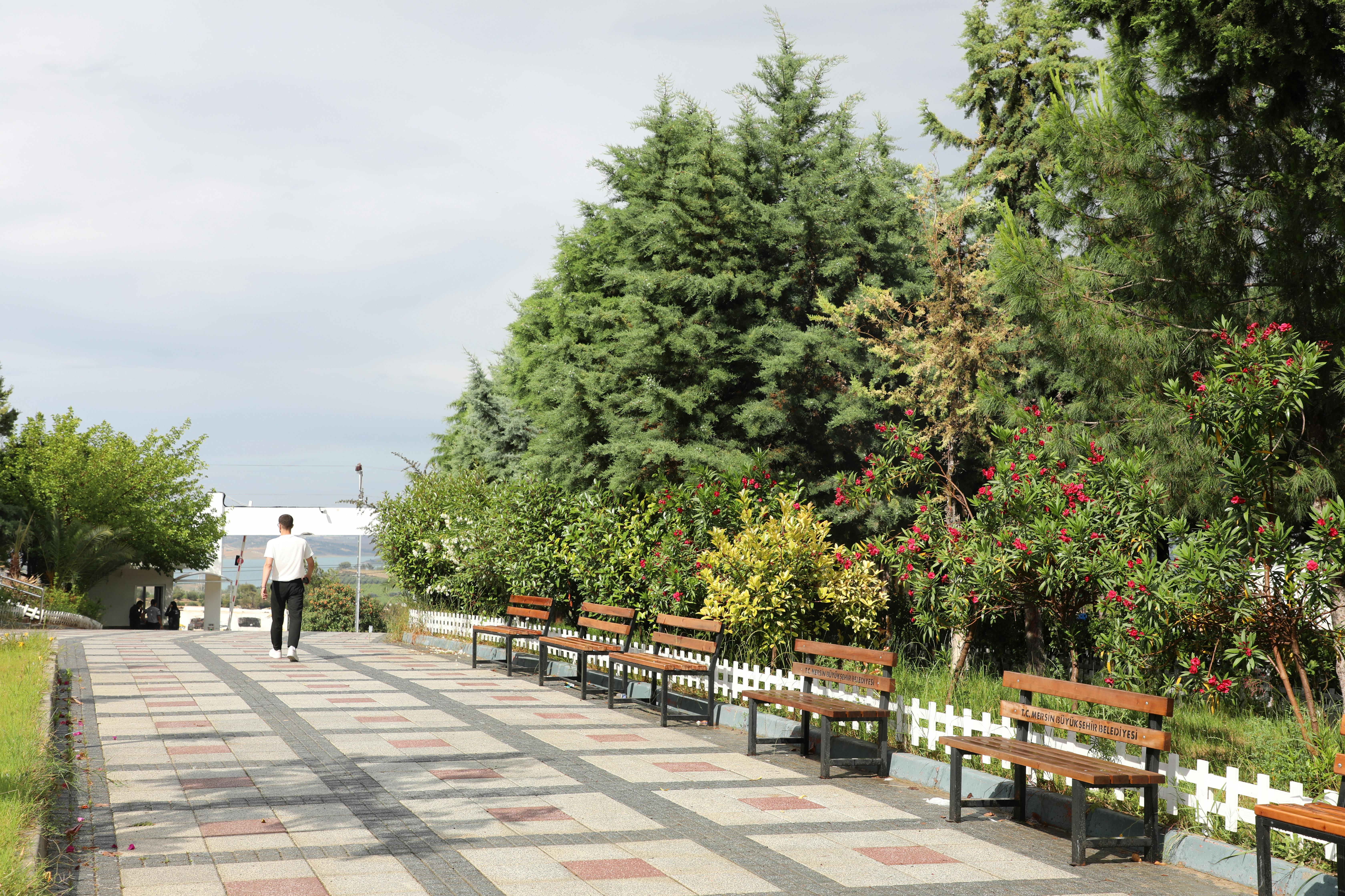 Outdoor Area Photos, Download The BEST Free Outdoor Area Stock Photos ...