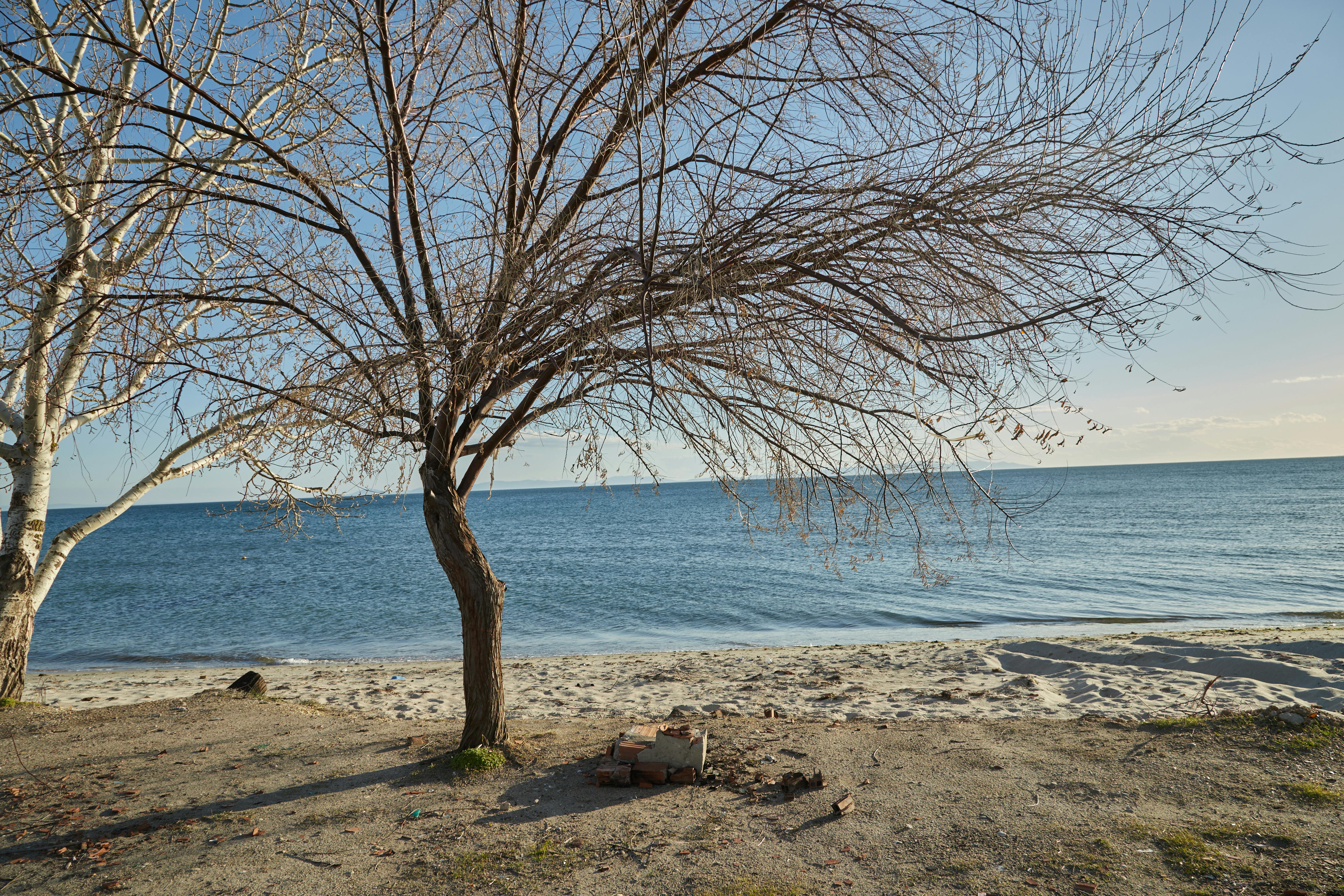 Beach Simple Photos, Download The BEST Free Beach Simple Stock Photos ...