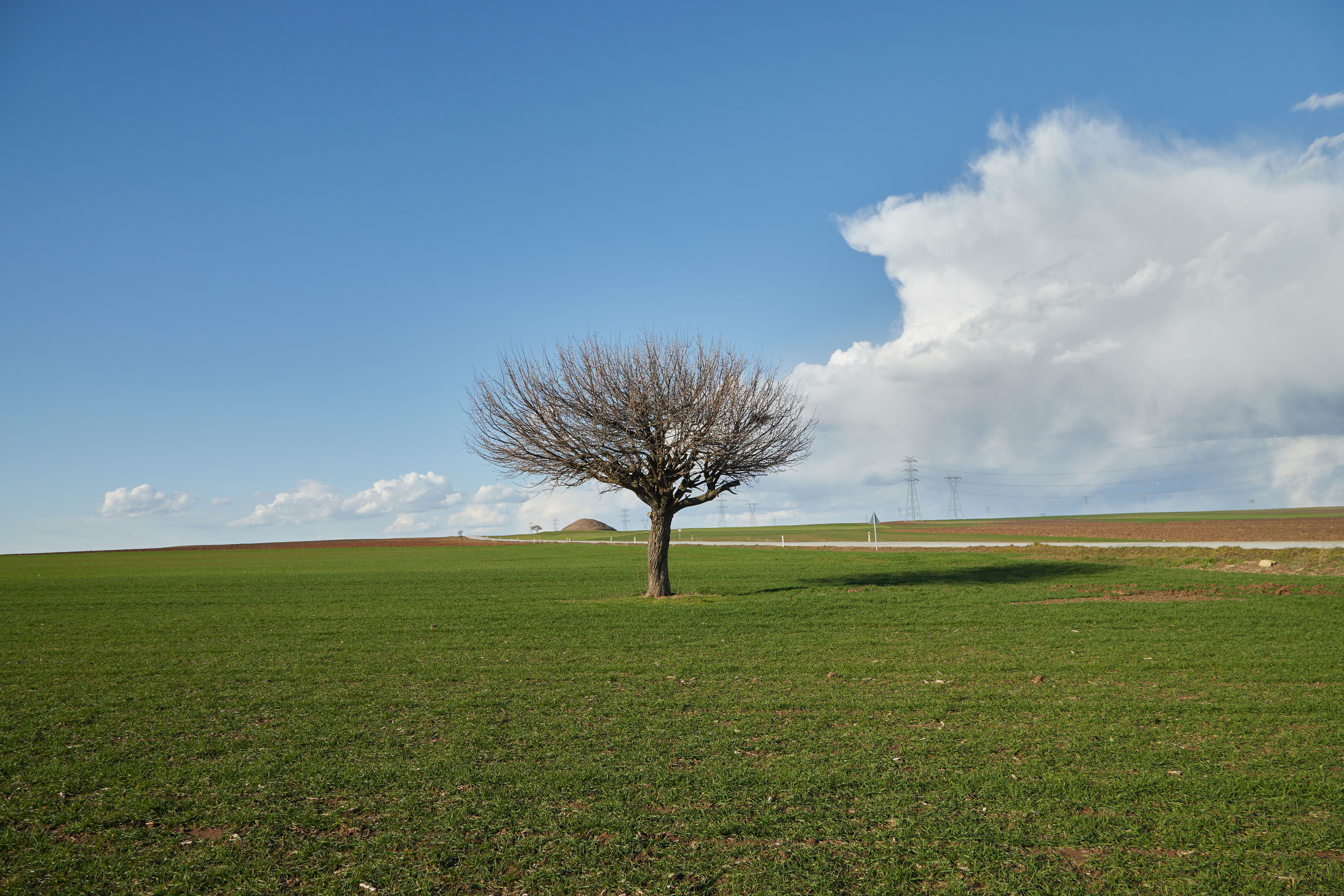 Vast Soil Fever Photos, Download The BEST Free Vast Soil Fever Stock ...