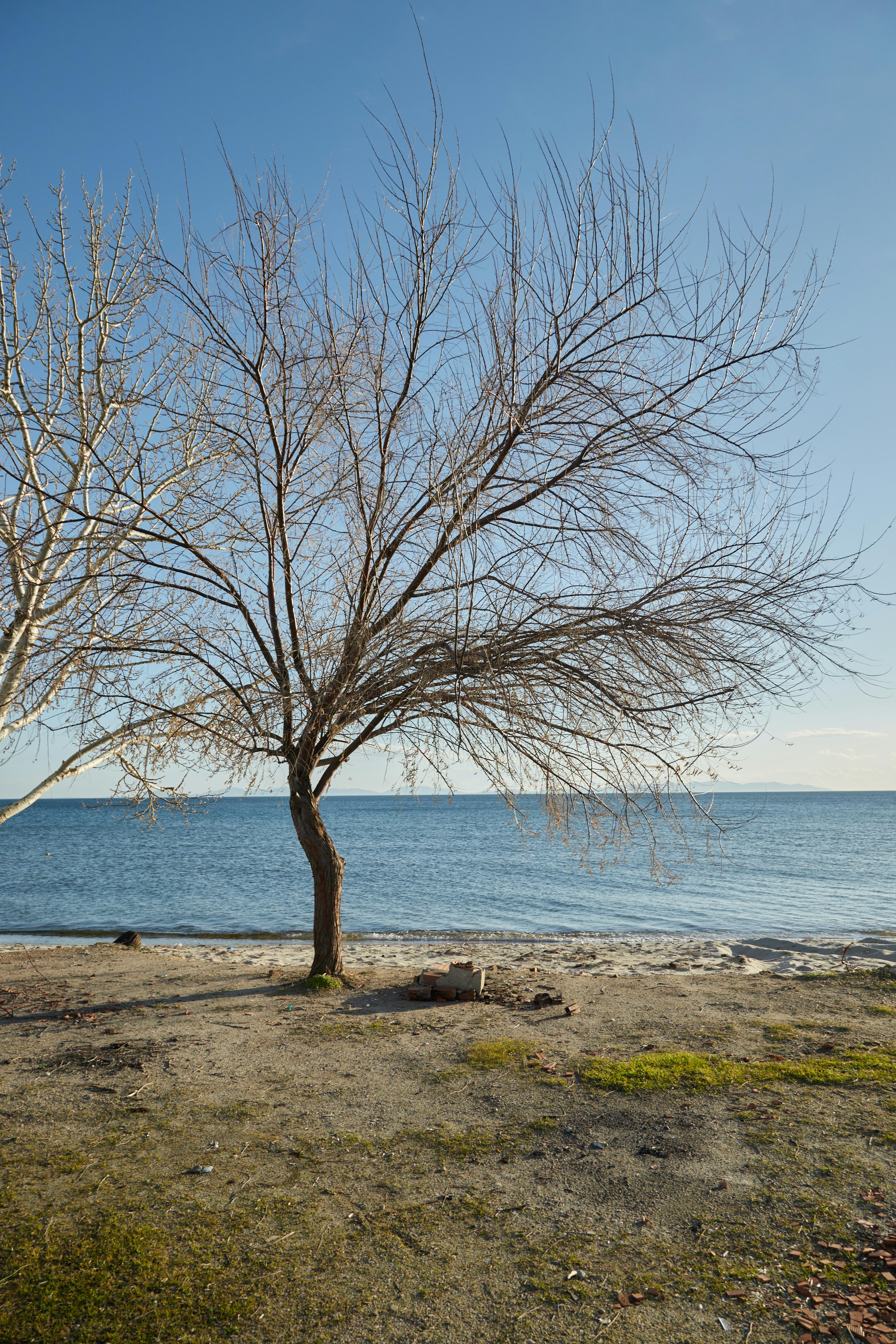 Mar Hegre Photos, Download The BEST Free Mar Hegre Stock Photos & HD Images