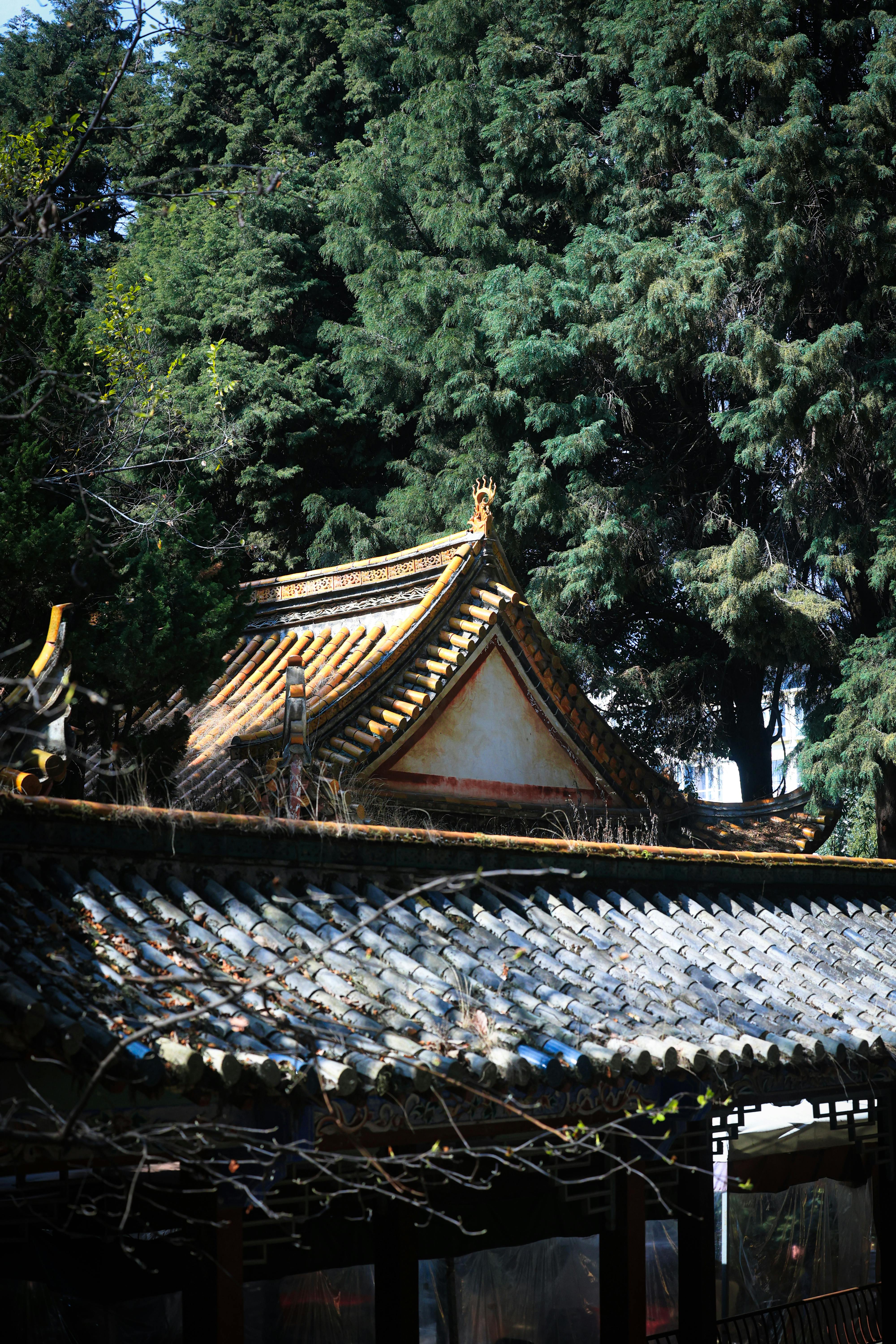 Atap Tradisional Cina Dengan Pohon Cemara · Foto Stok Gratis