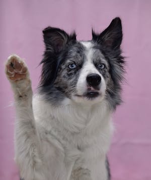 Linkedin Background 1584x396 Photos, Download The BEST Free Linkedin ...